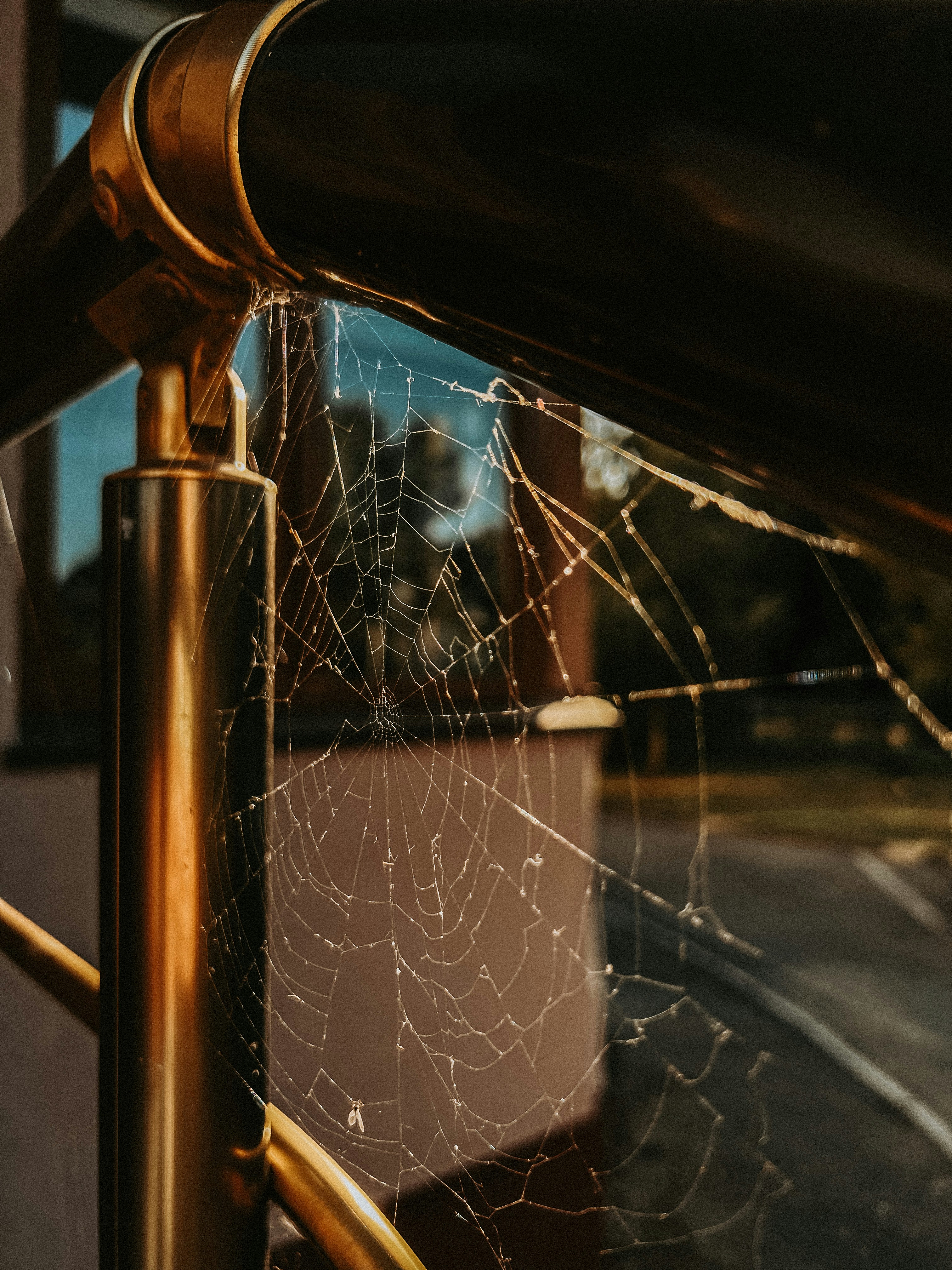 Spider Silk on Rails: a close-up of a spiderweb between metallic curves