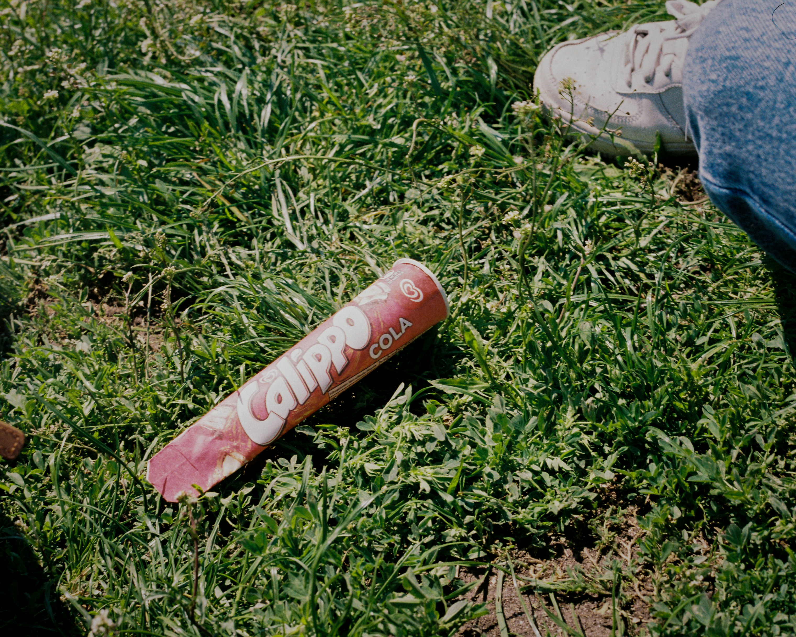 A baseball bat laying on the ground in the grass photo – Free Grass ...