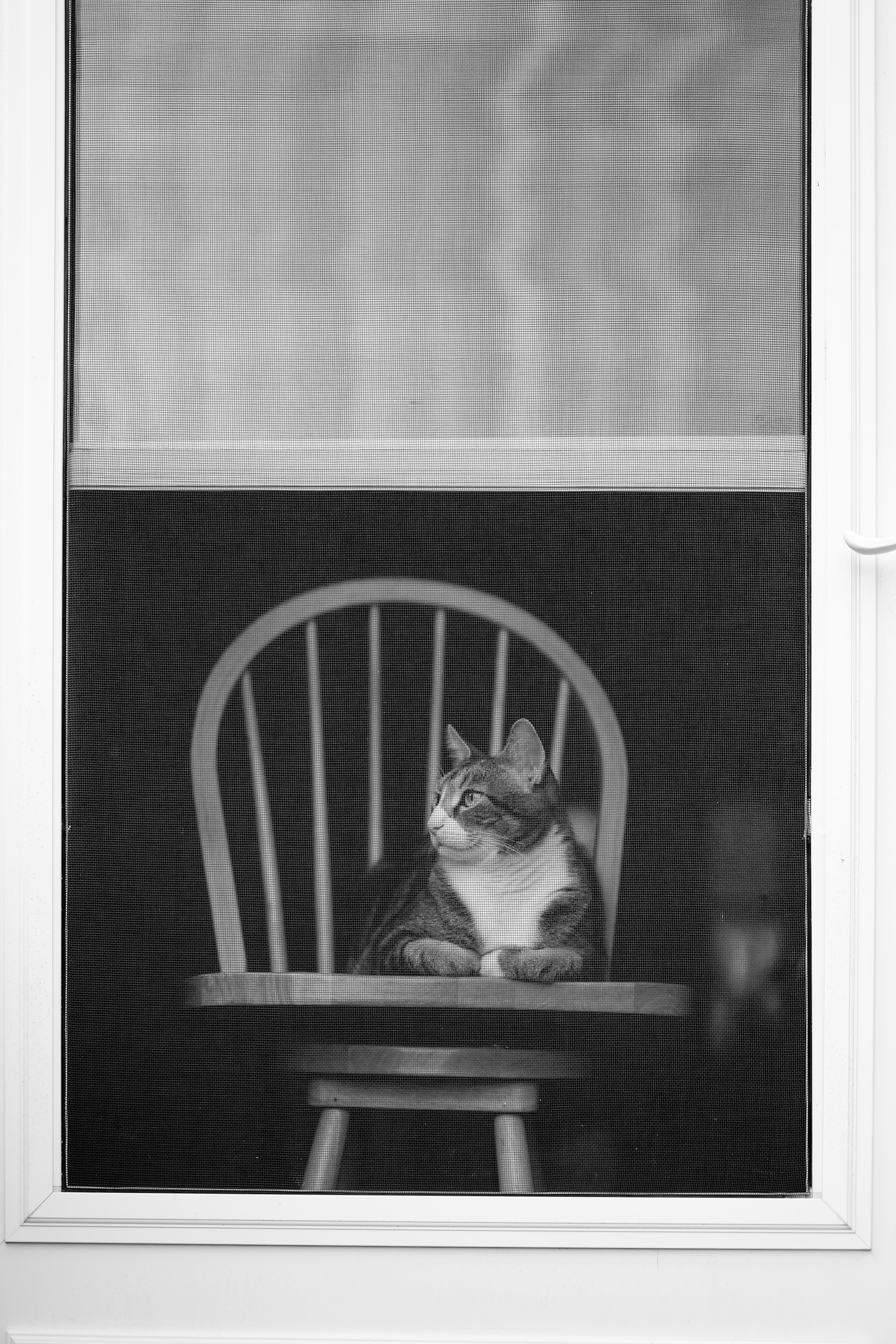 Photo by Mercedes McGrath with Canon EOS R6 Mark II