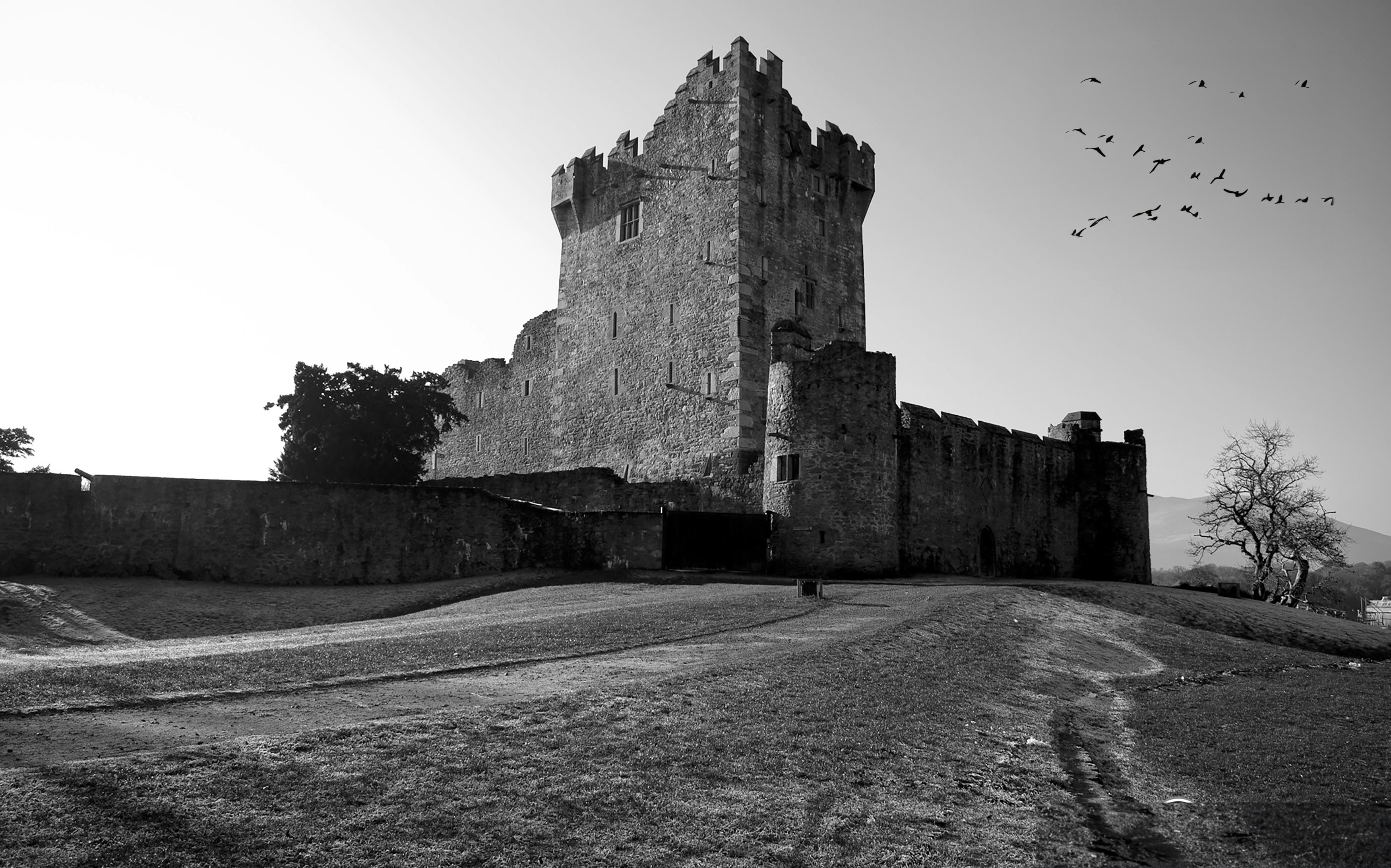 Jamie O’Sullivan (@imjamie) | Komunitas Foto Unsplash