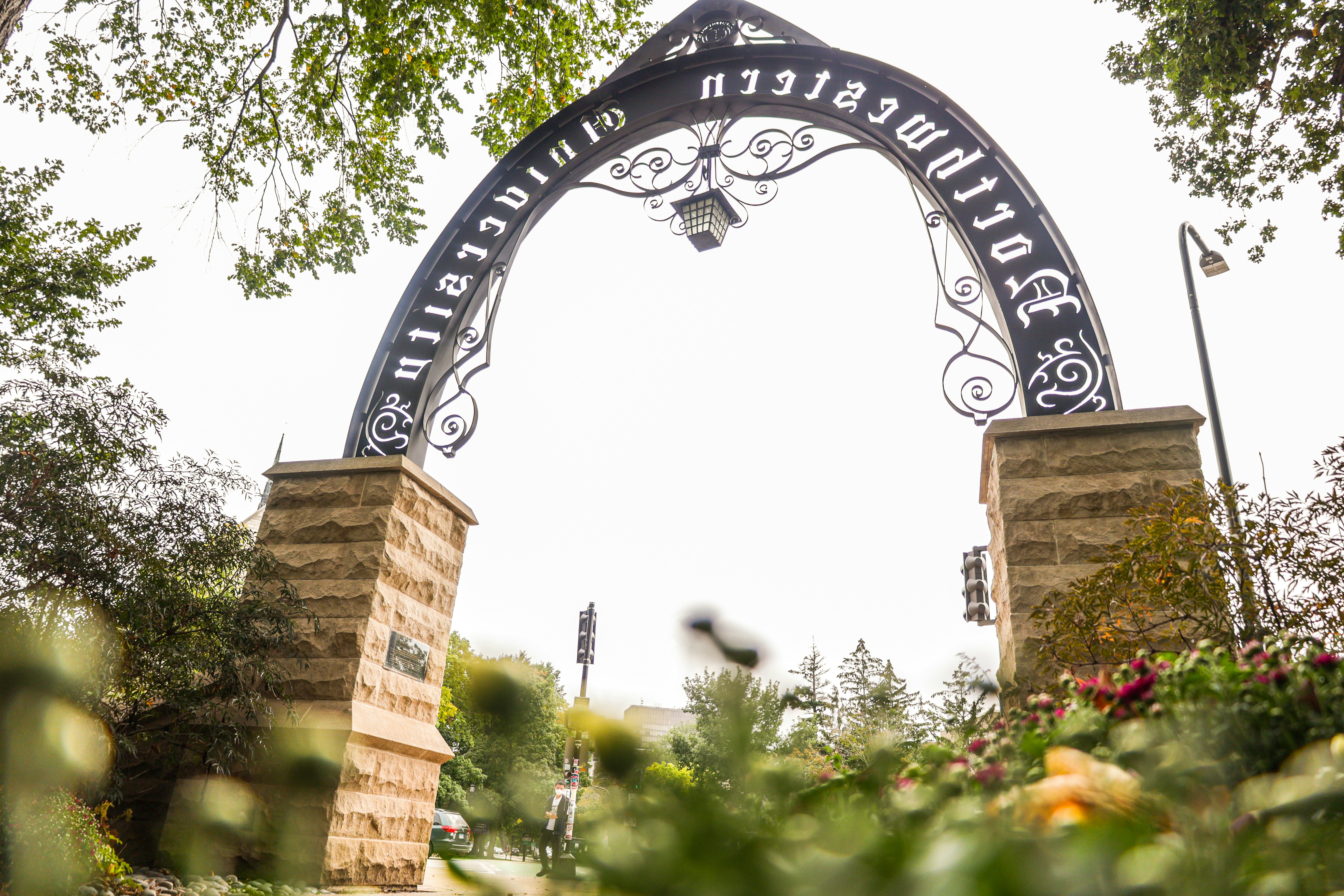 Photo by Joss Broward with Canon EOS R6