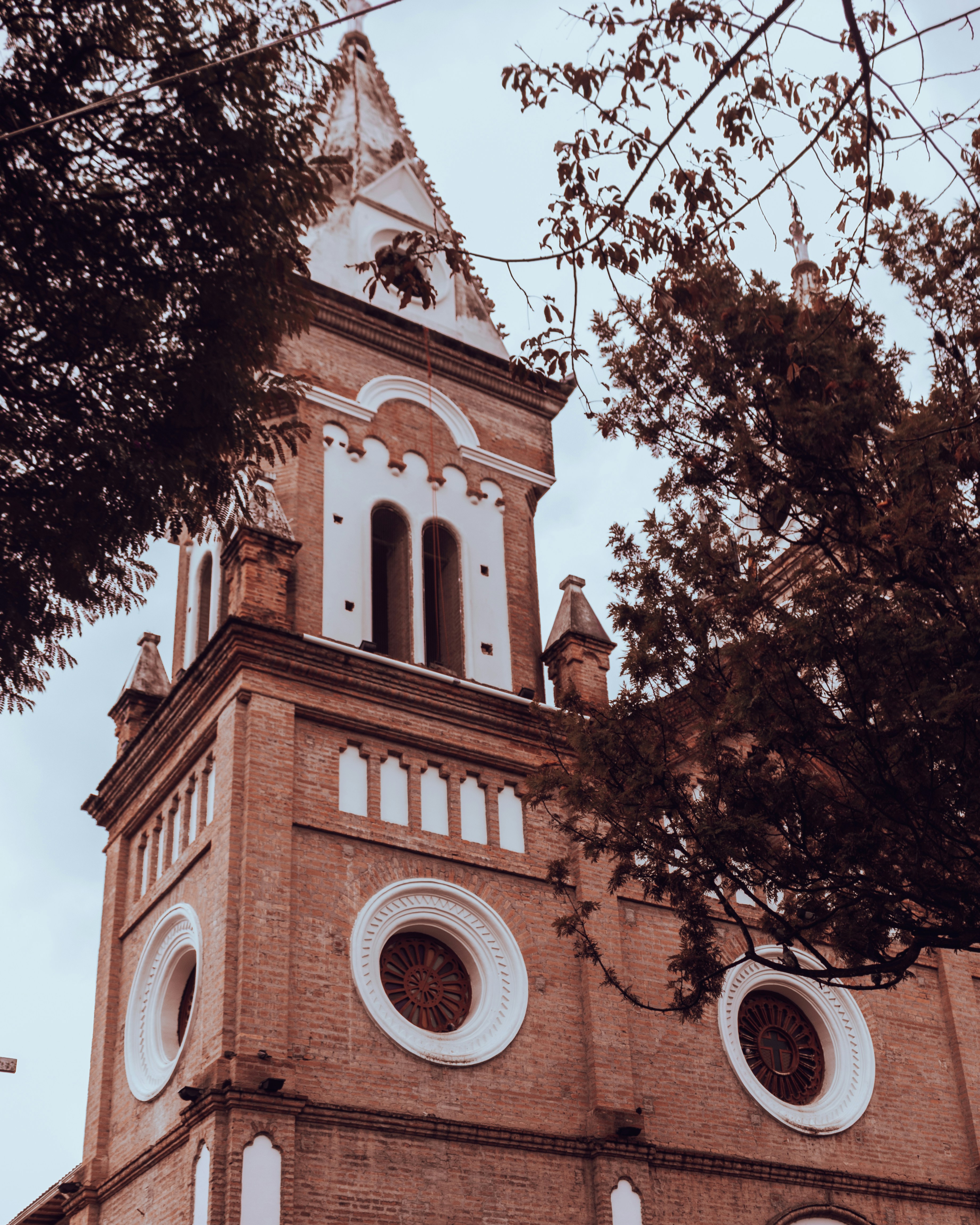 Gothic-style church tower framed by tree branches against a cloudy sky.