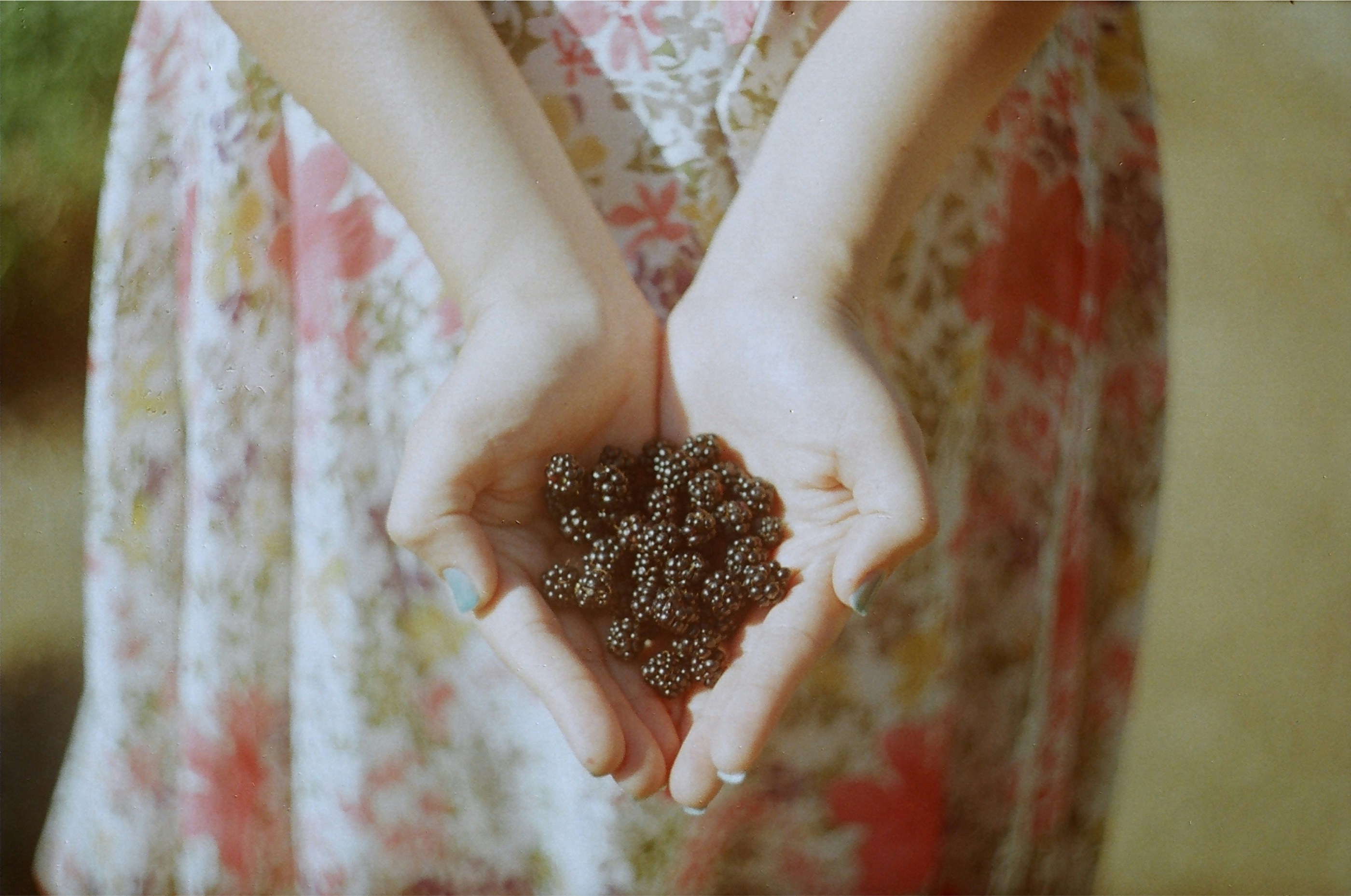Hands gently cradling dark berries against a floral dress backdrop.