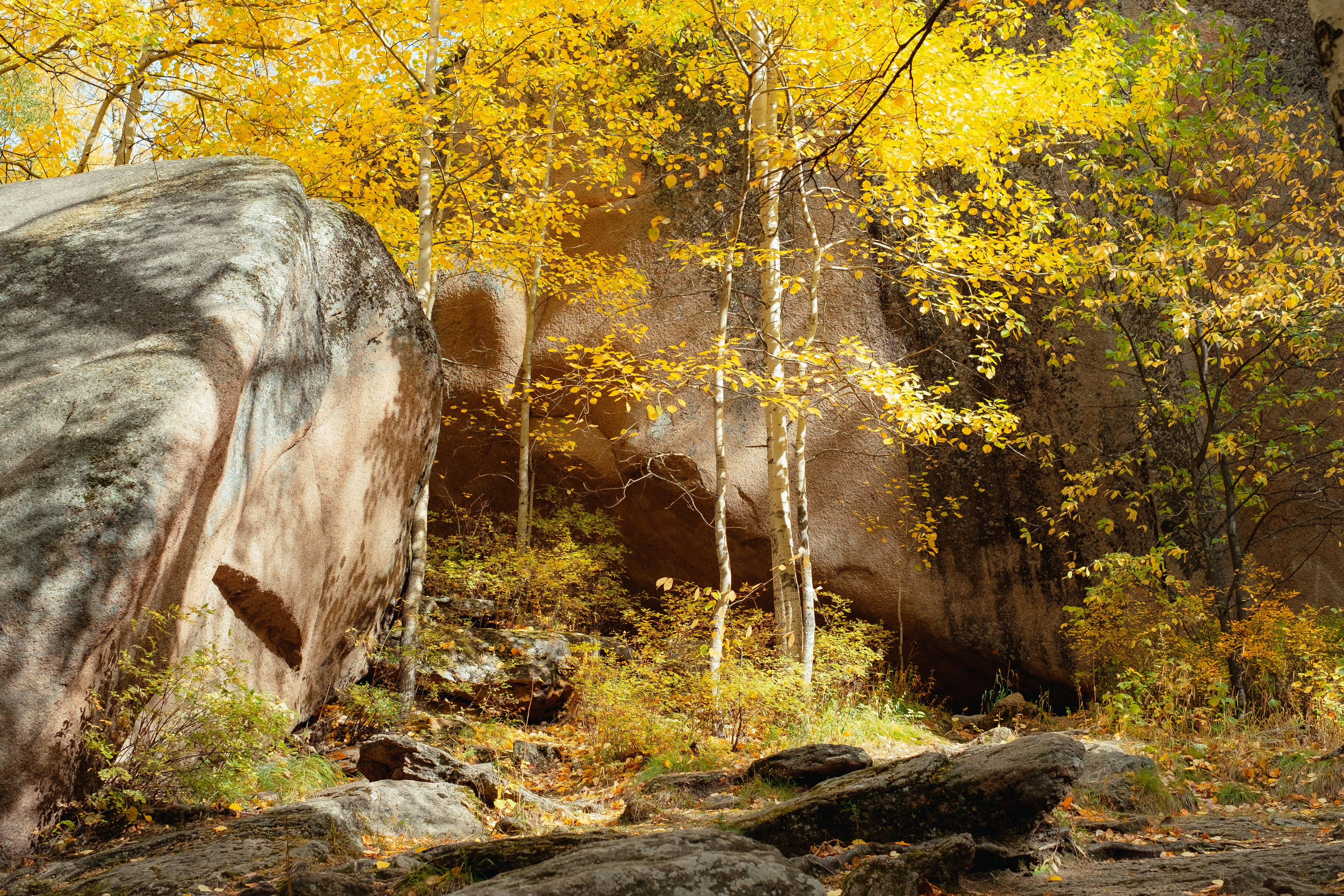 Autumn Light Framing a Granite Grotto