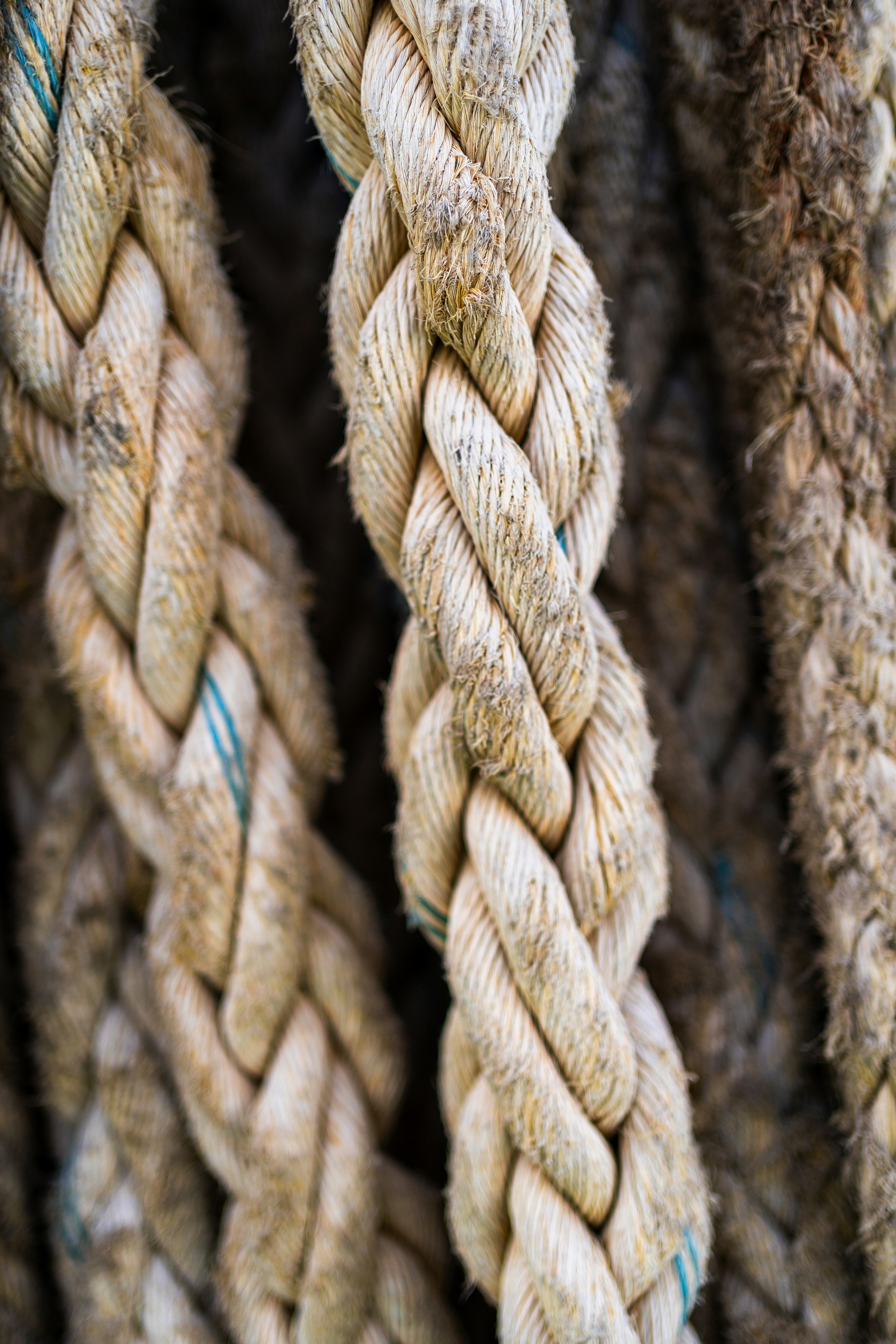 A close up of a bunch of ropes photo – Free Senja Image on Unsplash