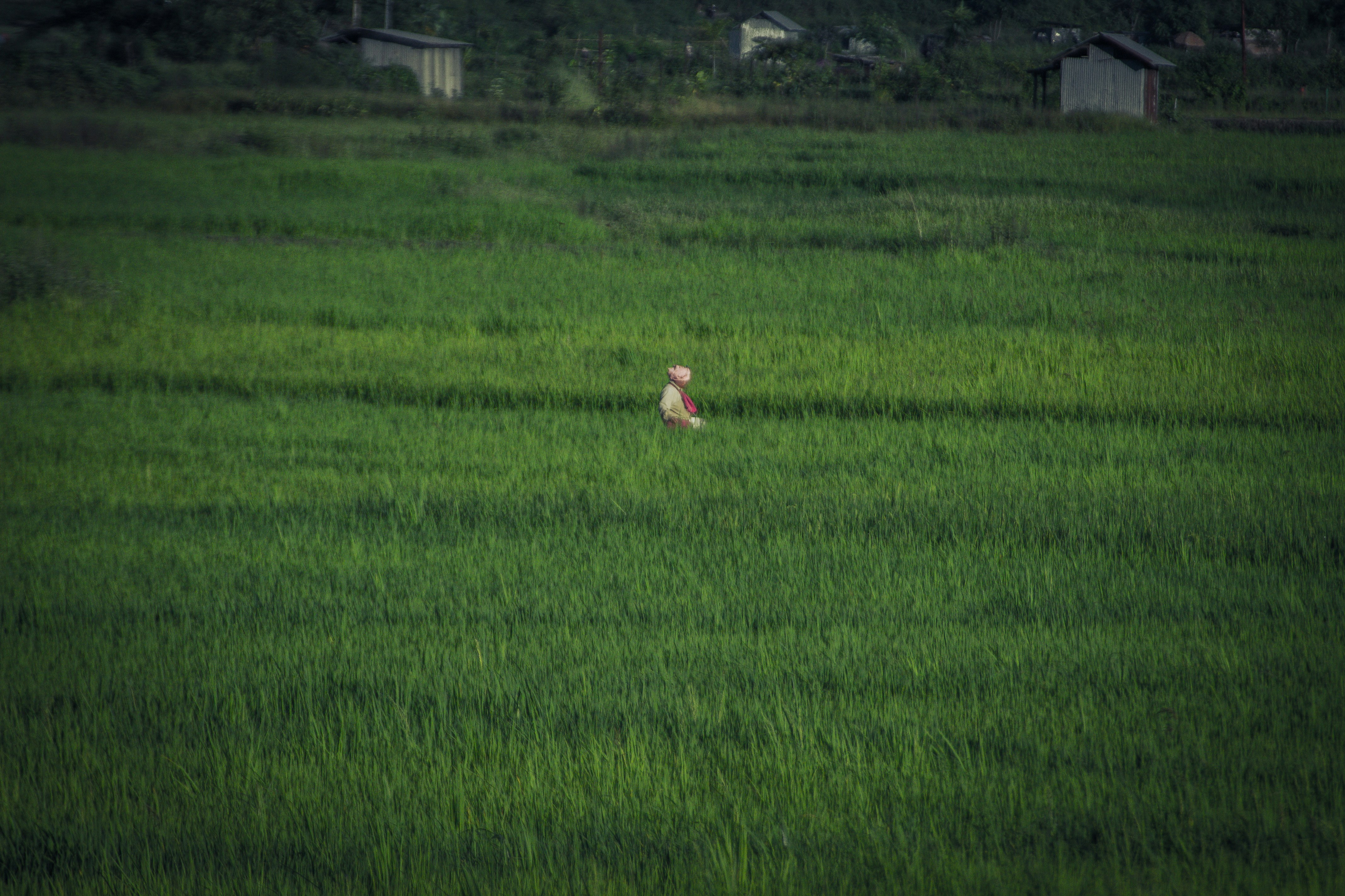 Photo by Kushal Mangsatabam with Canon EOS 1100D