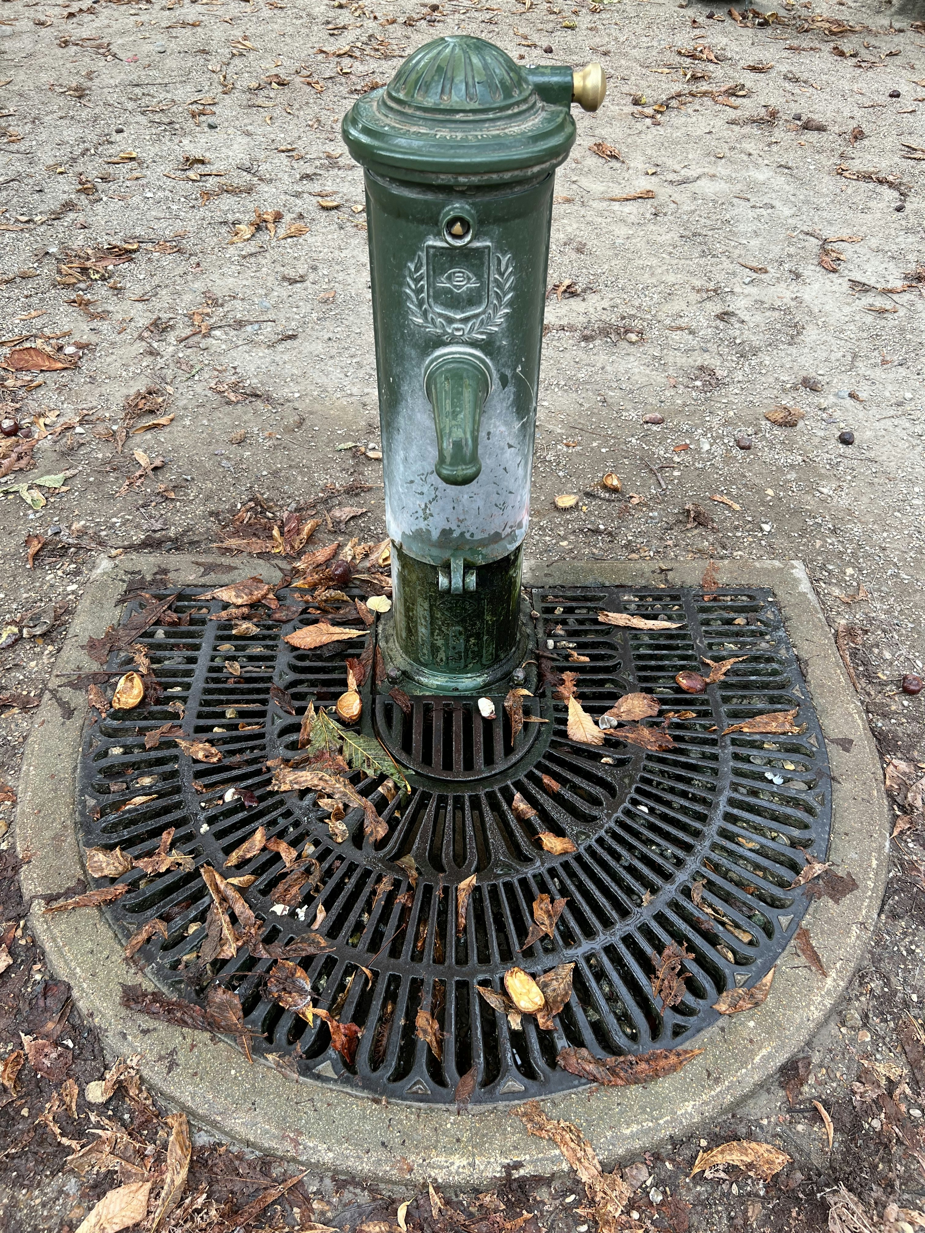 A green fire hydrant sitting on top of a metal grate photo – Free ...
