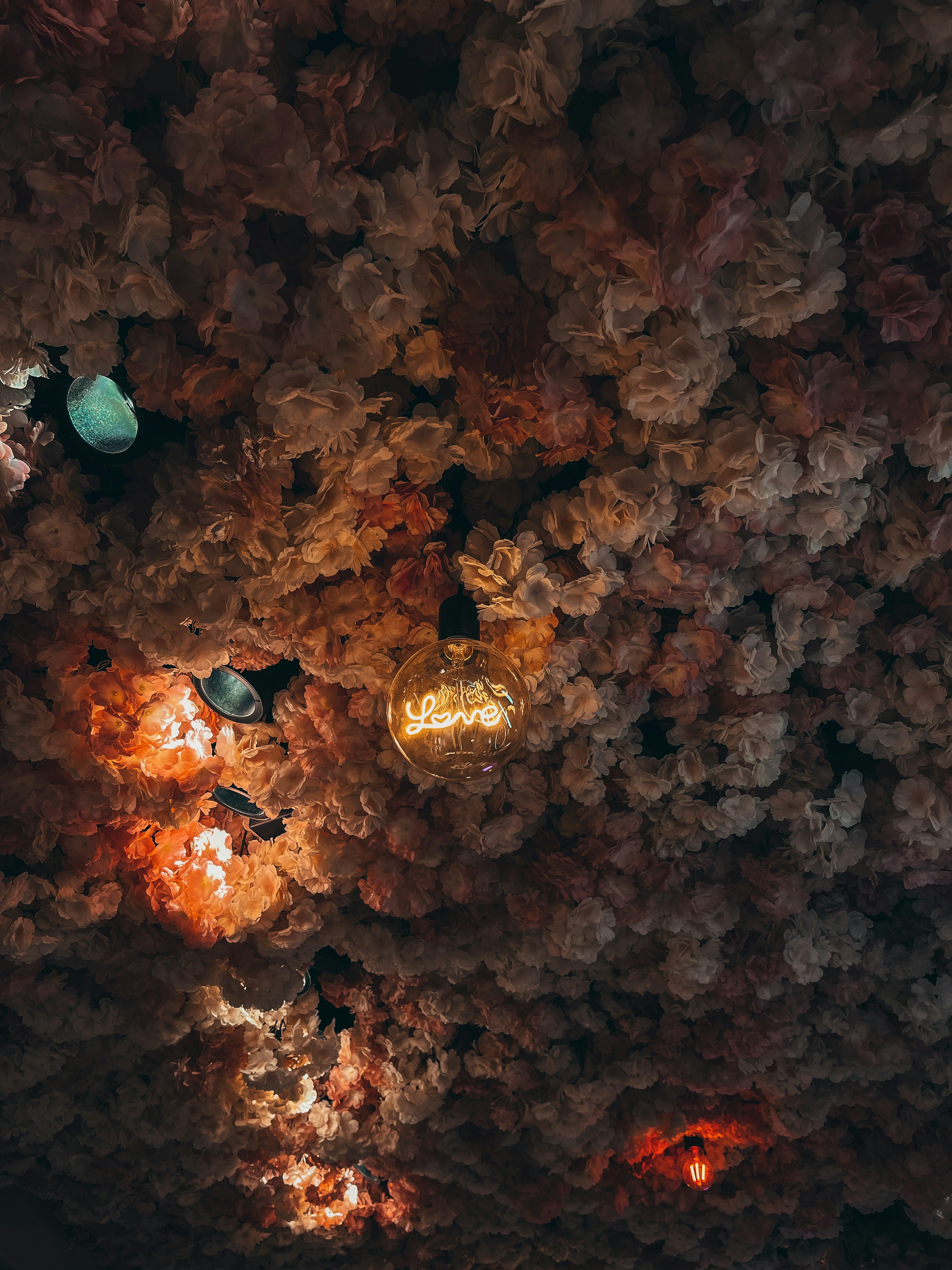 Glowing Orbs Beneath a Cloudscape of Warm Ferns