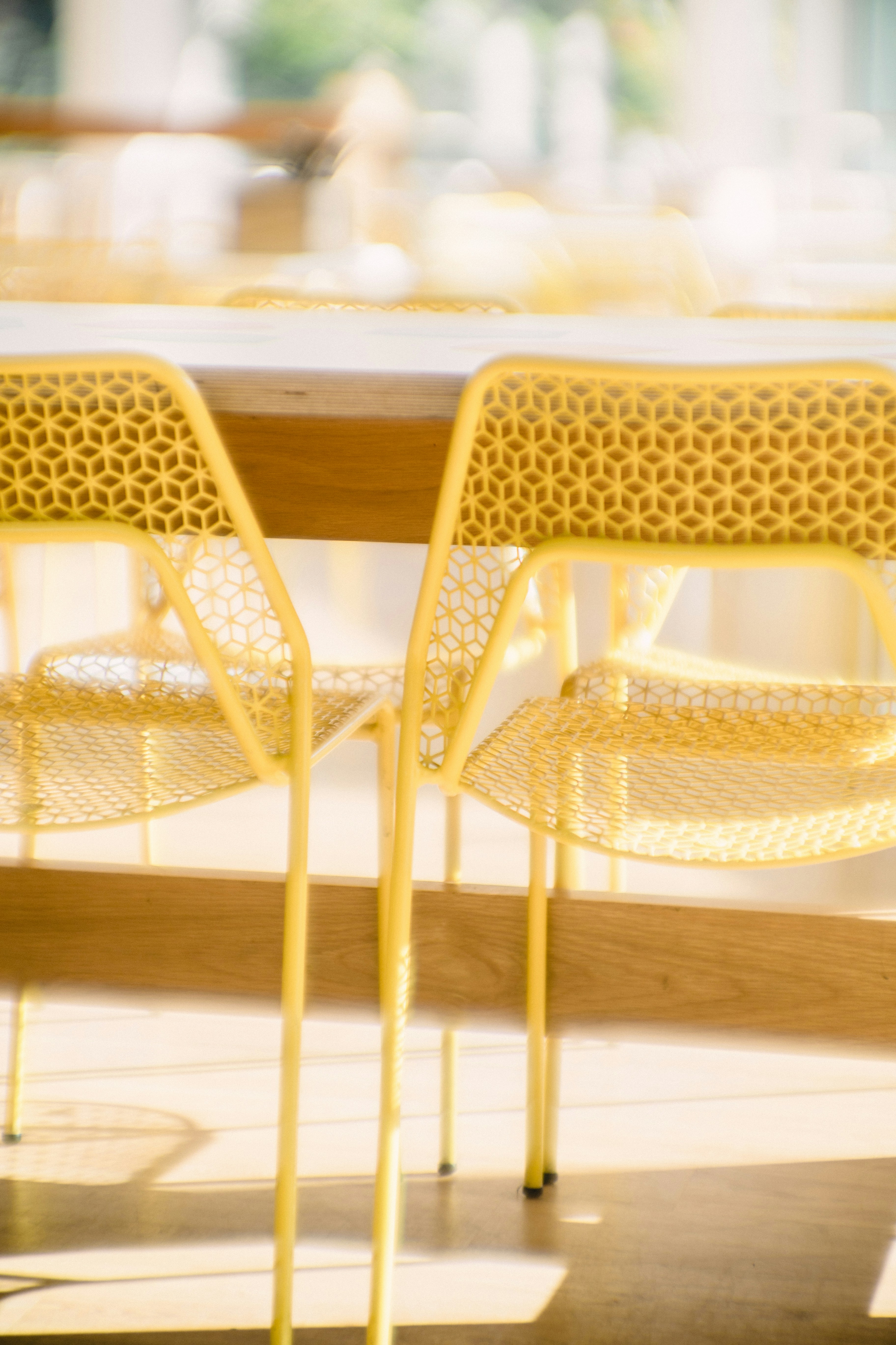 Sunlit Yellow Café Seats: Honeyed Mesh Backrests Framing a Quiet Table