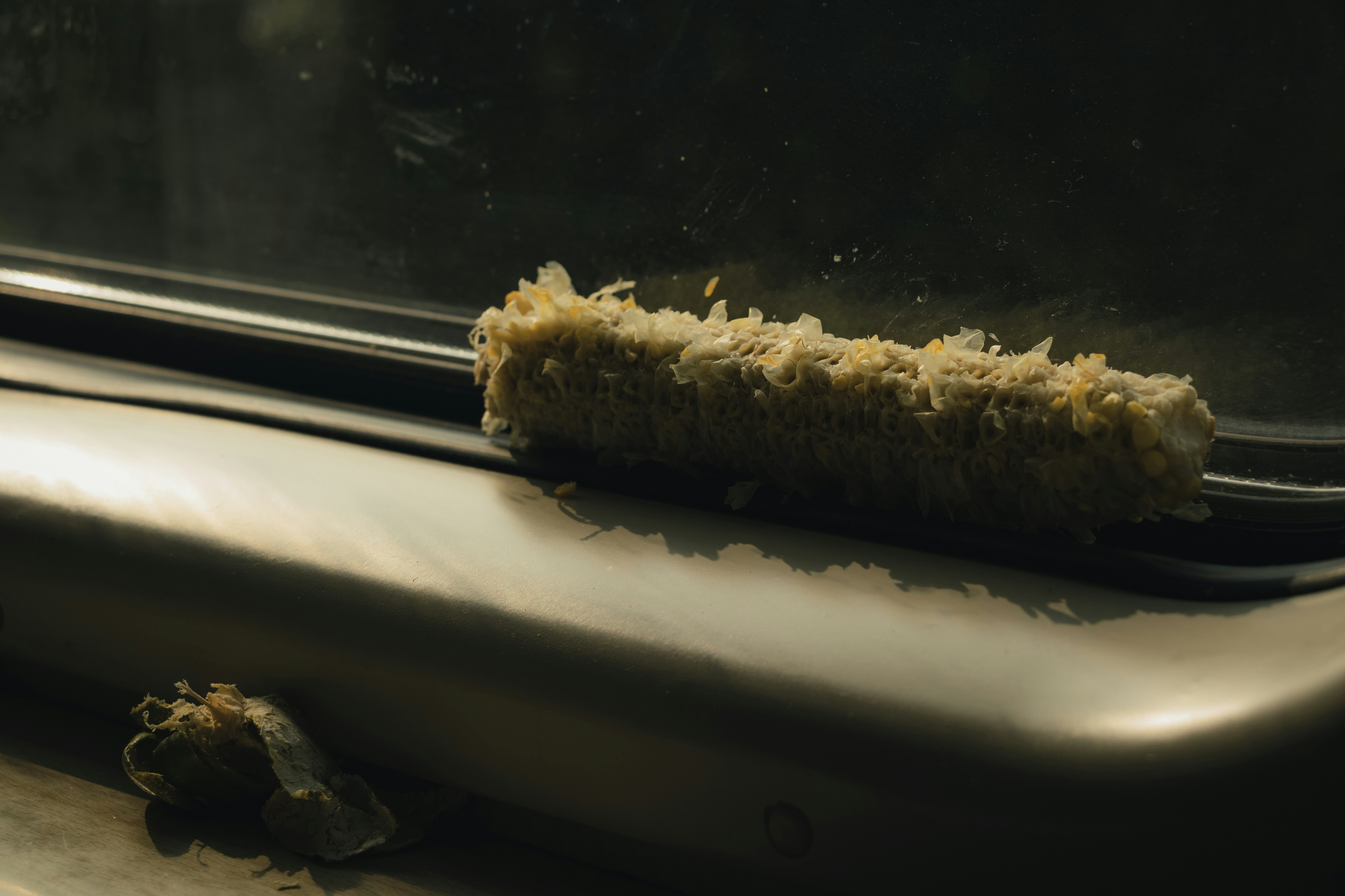 Crumb on a Quiet Threshold: Dim Car Interior Close-Up