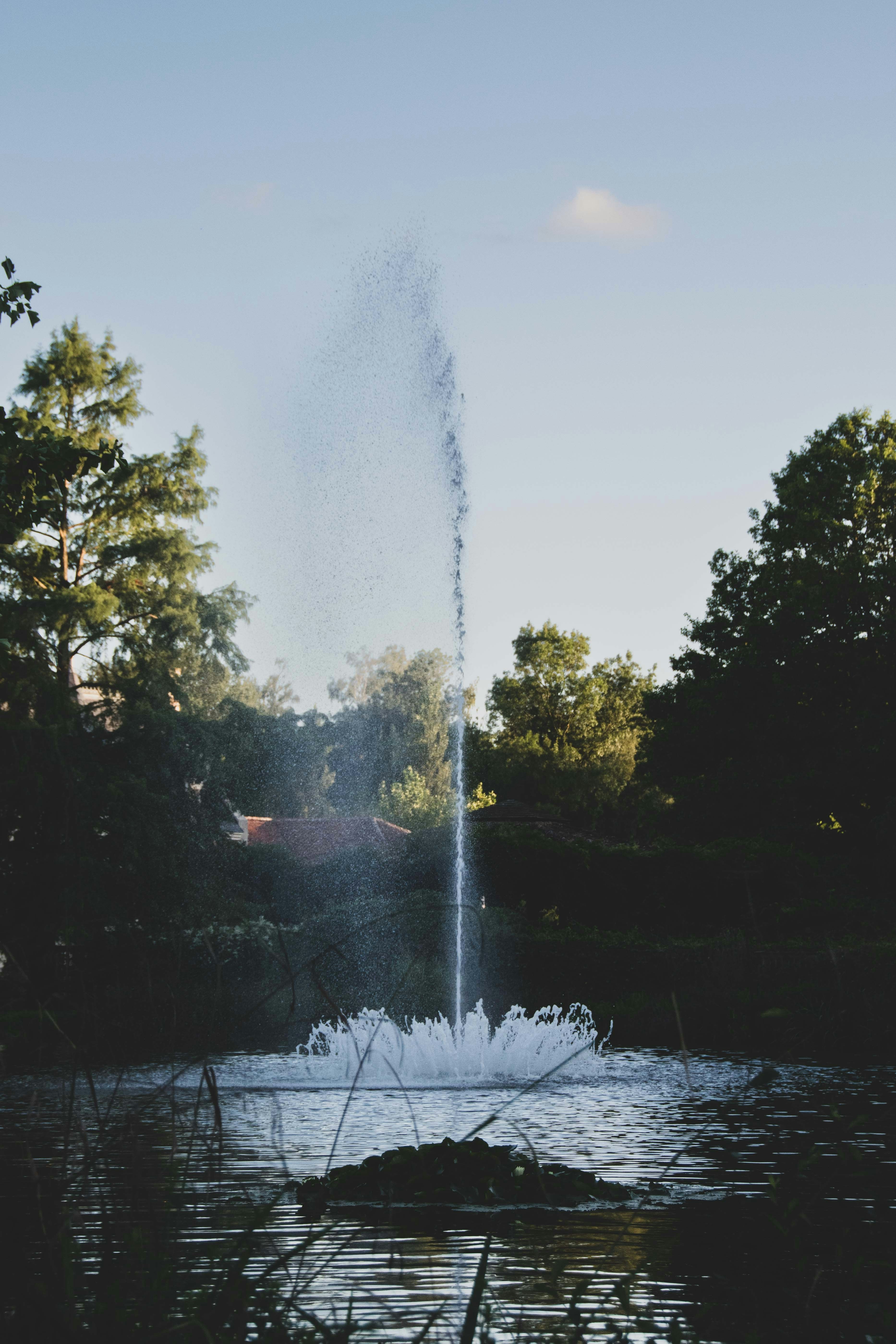 A fountain spewing water into a pond surrounded by trees photo – Free ...
