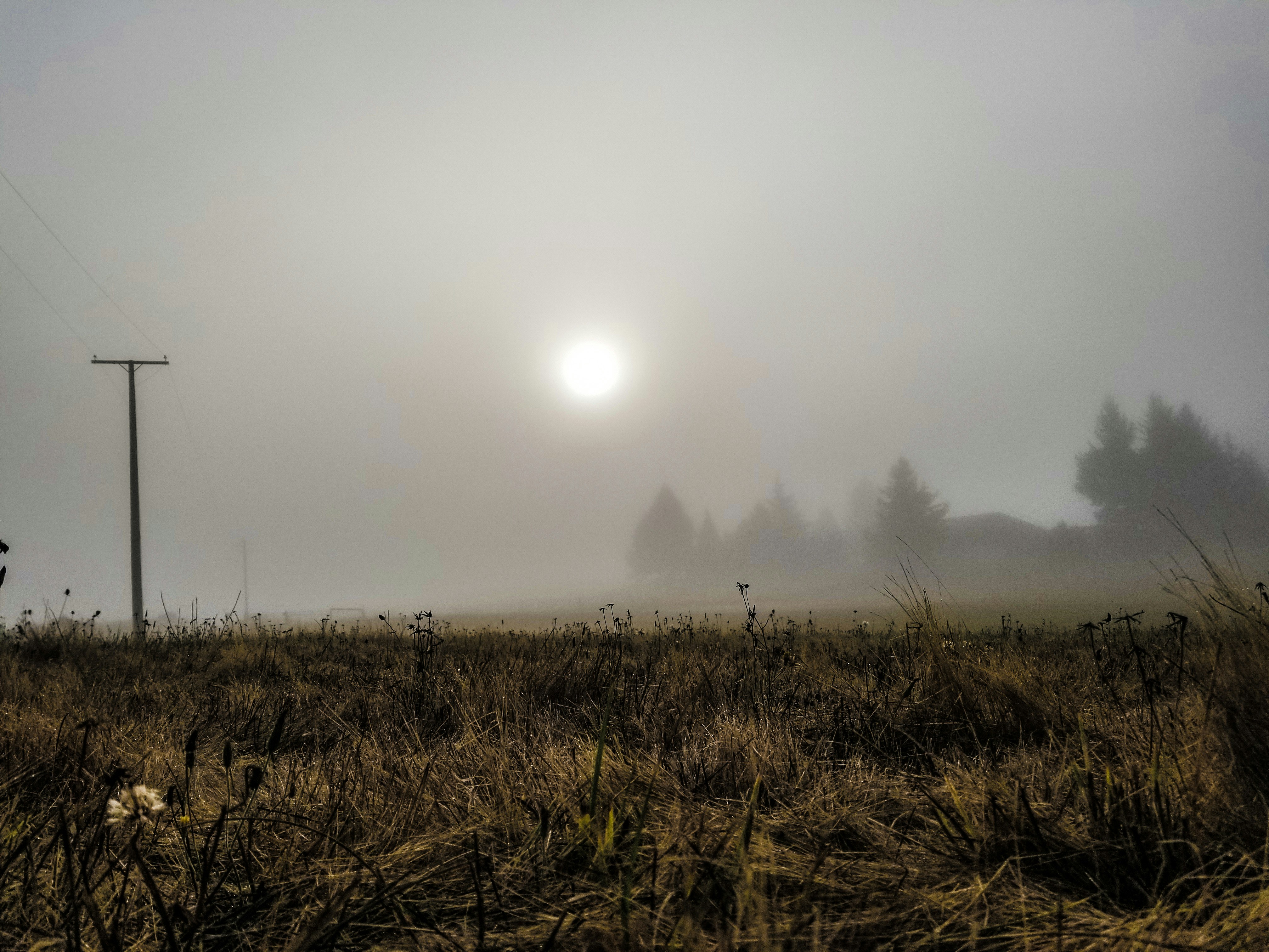 A foggy field with a telephone pole in the distance photo – Free Yelm ...