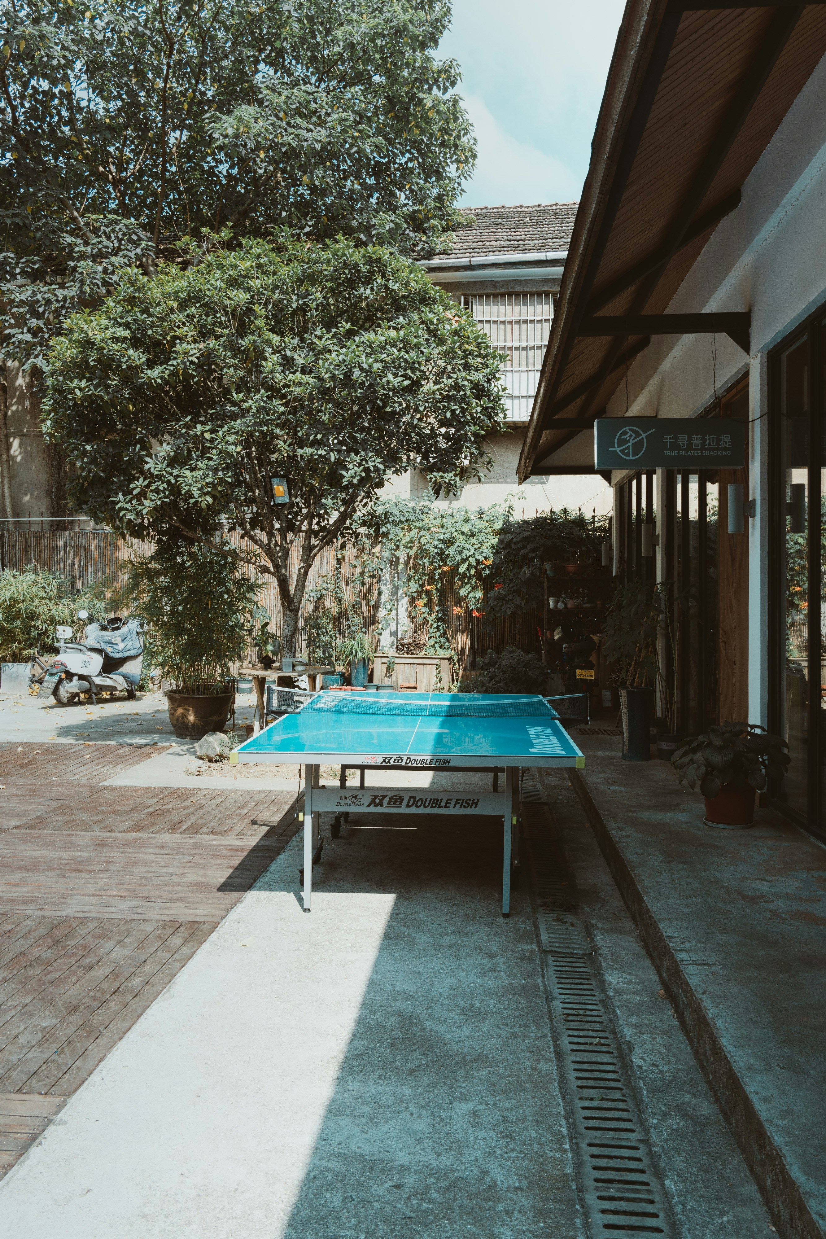 A ping pong table in the shade of a tree photo – Free China Image on ...