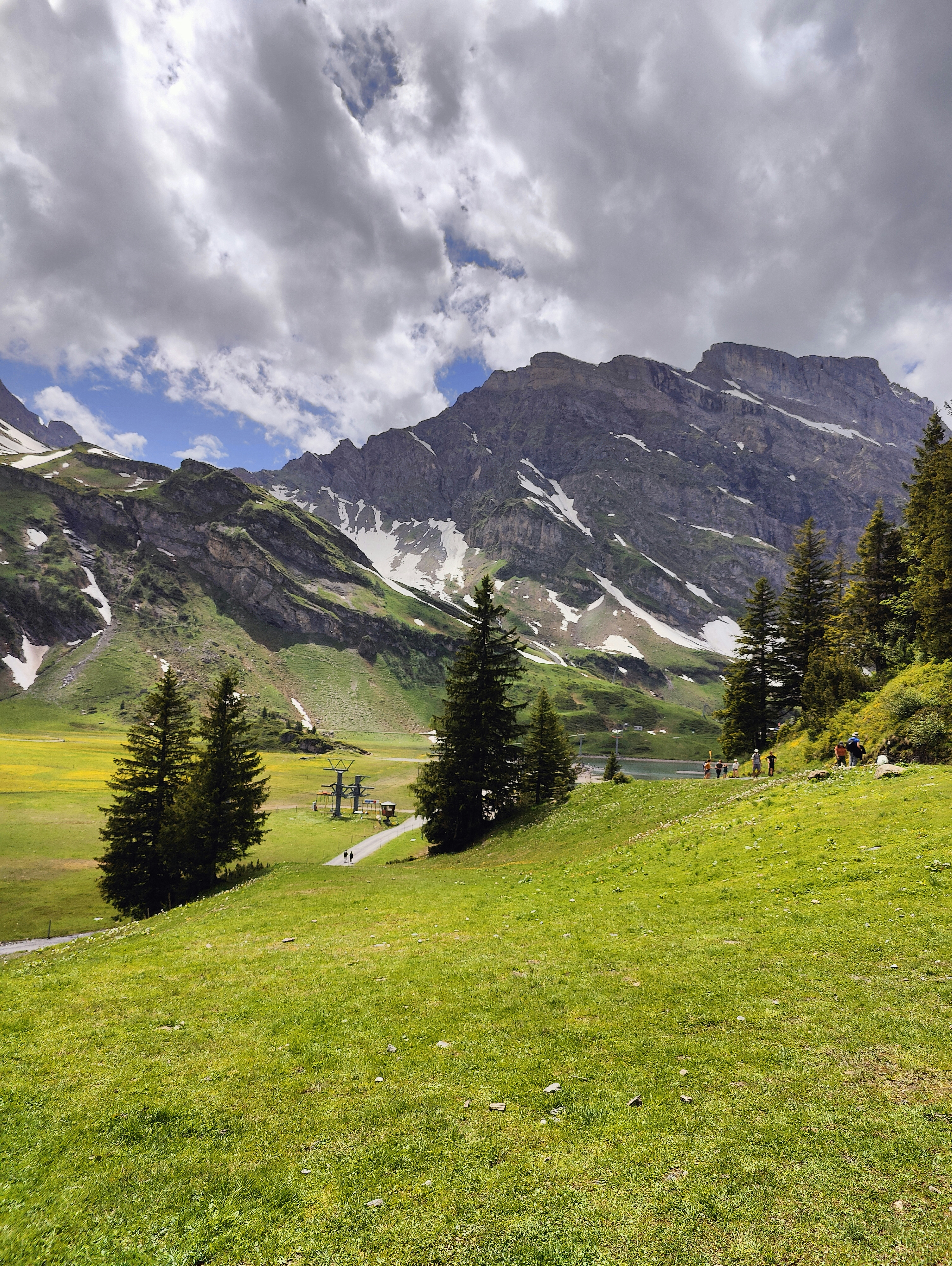 A grassy field with trees and mountains in the background photo – Free ...