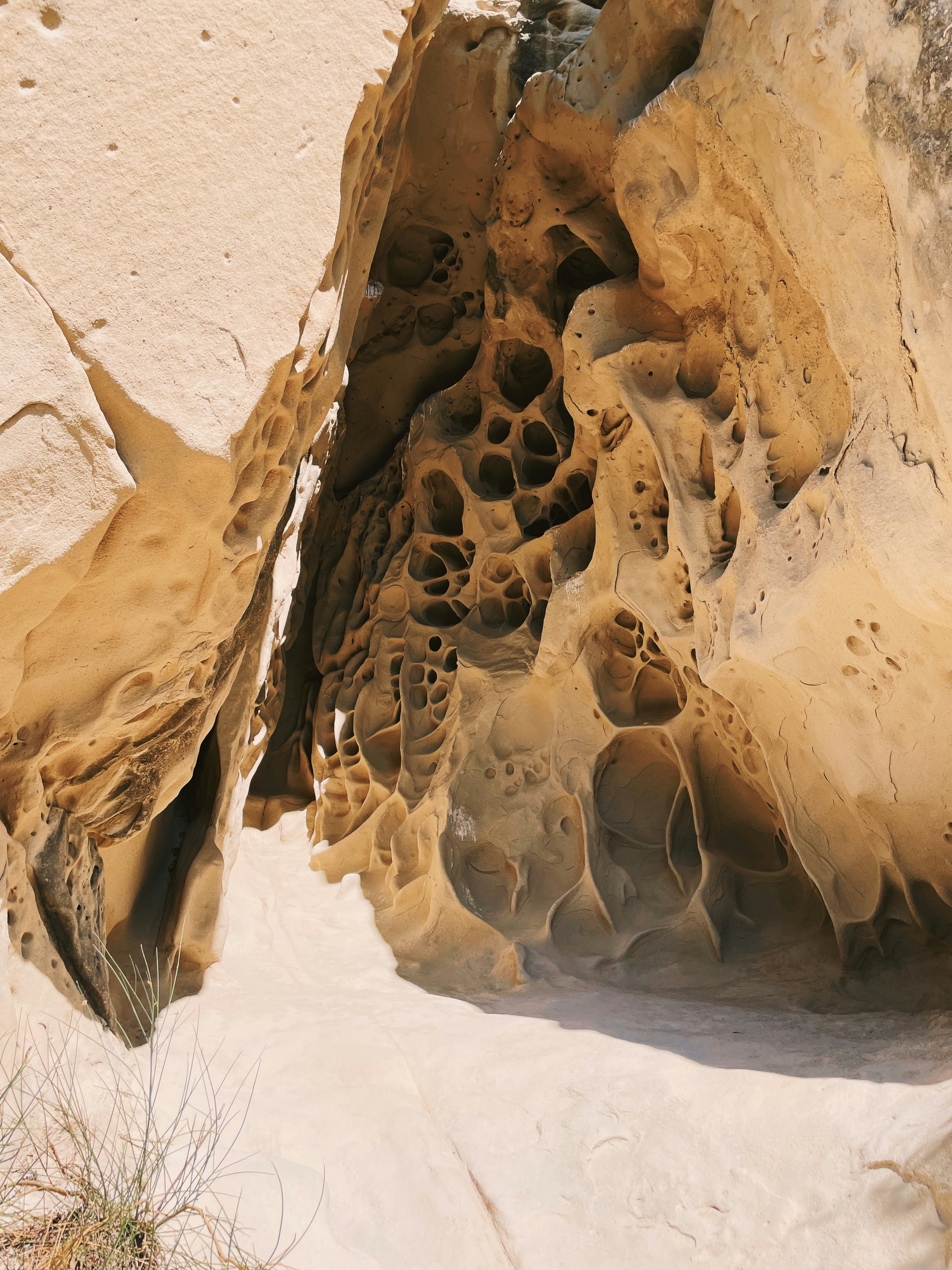 Honeycomb Echoes: Wind-Scoured Desert Rock Carving