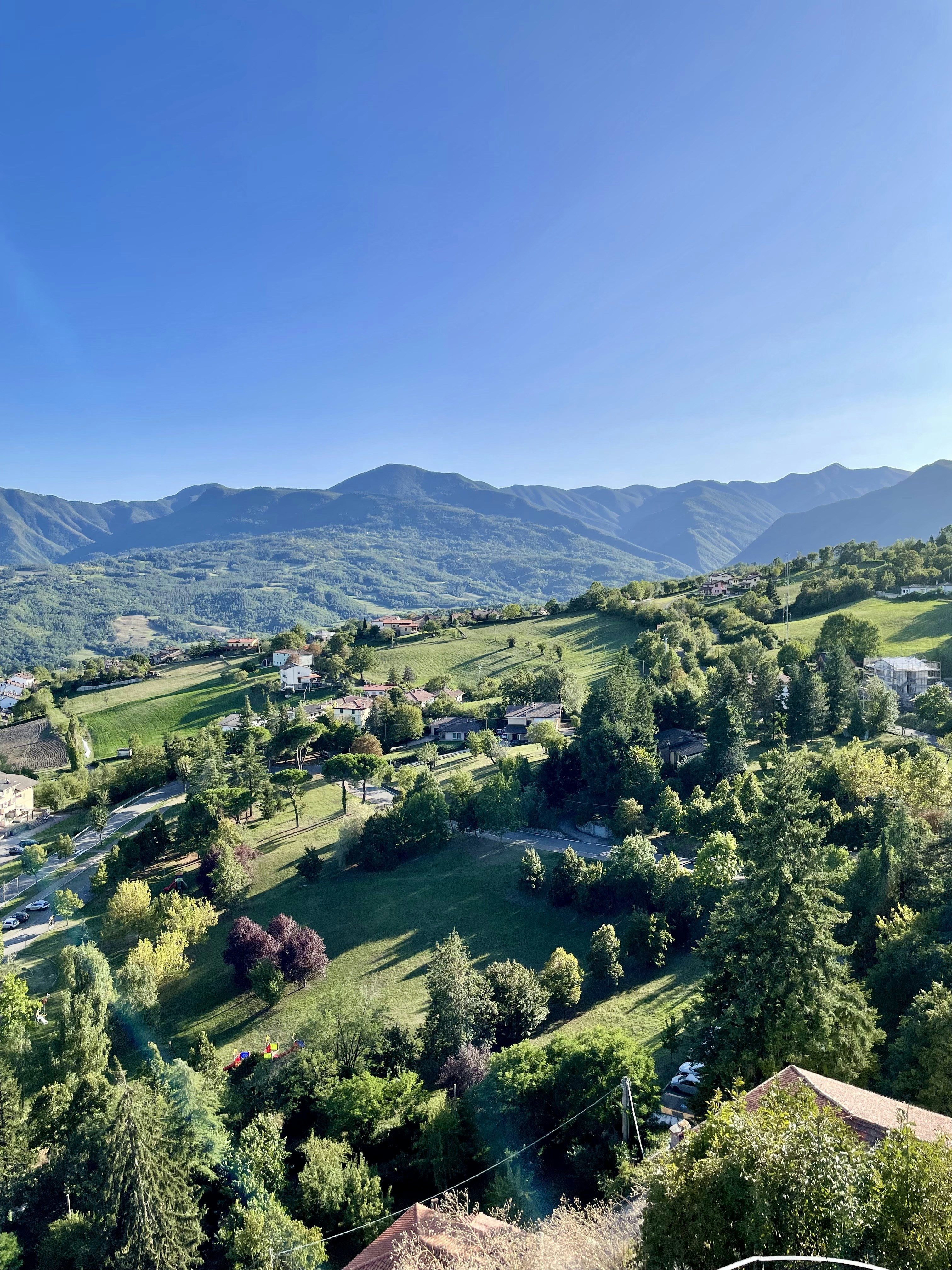 a scenic view of a green valley with mountains in the background