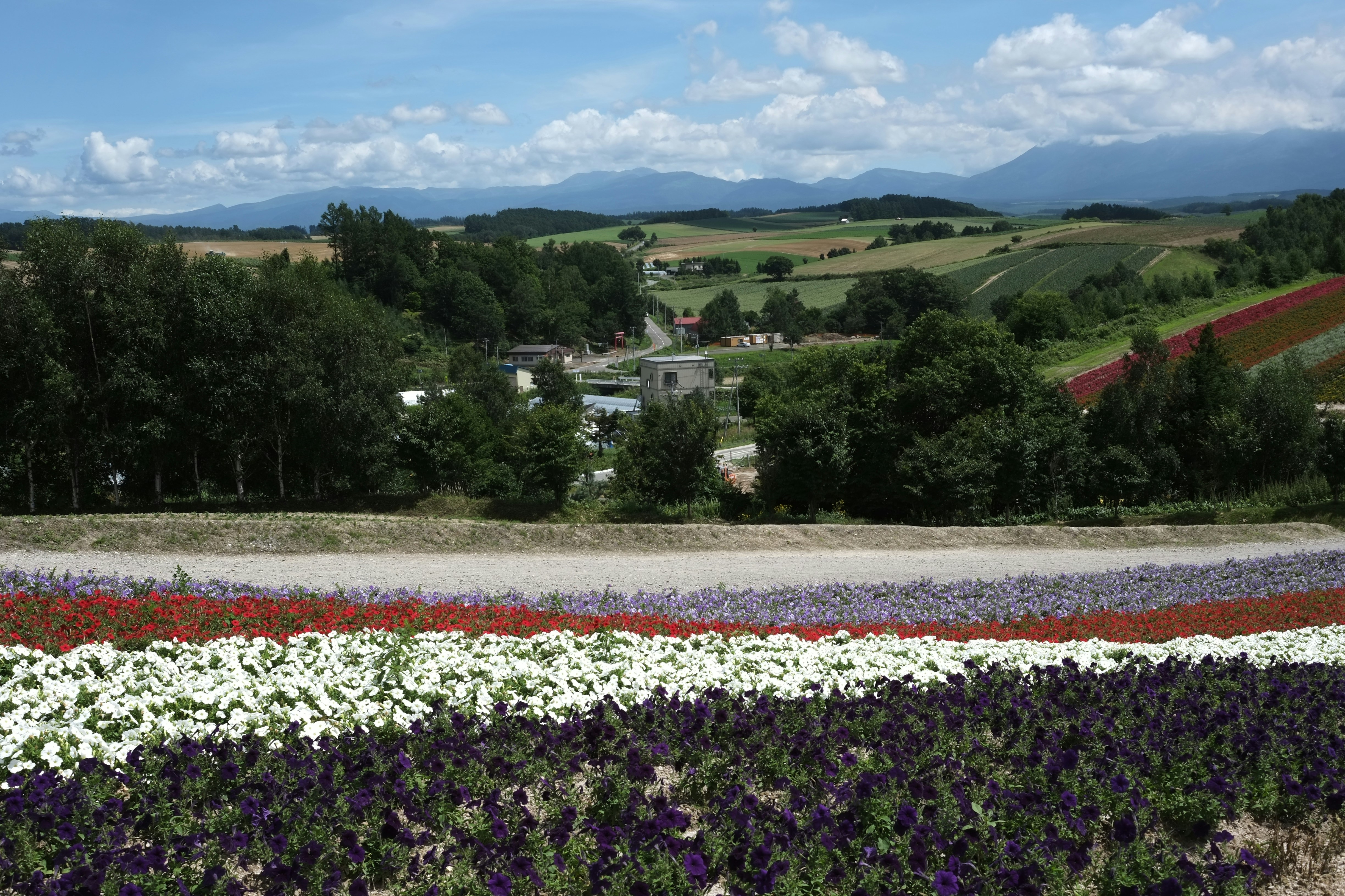 Ribbons of Color Framing a Tranquil Valley Village