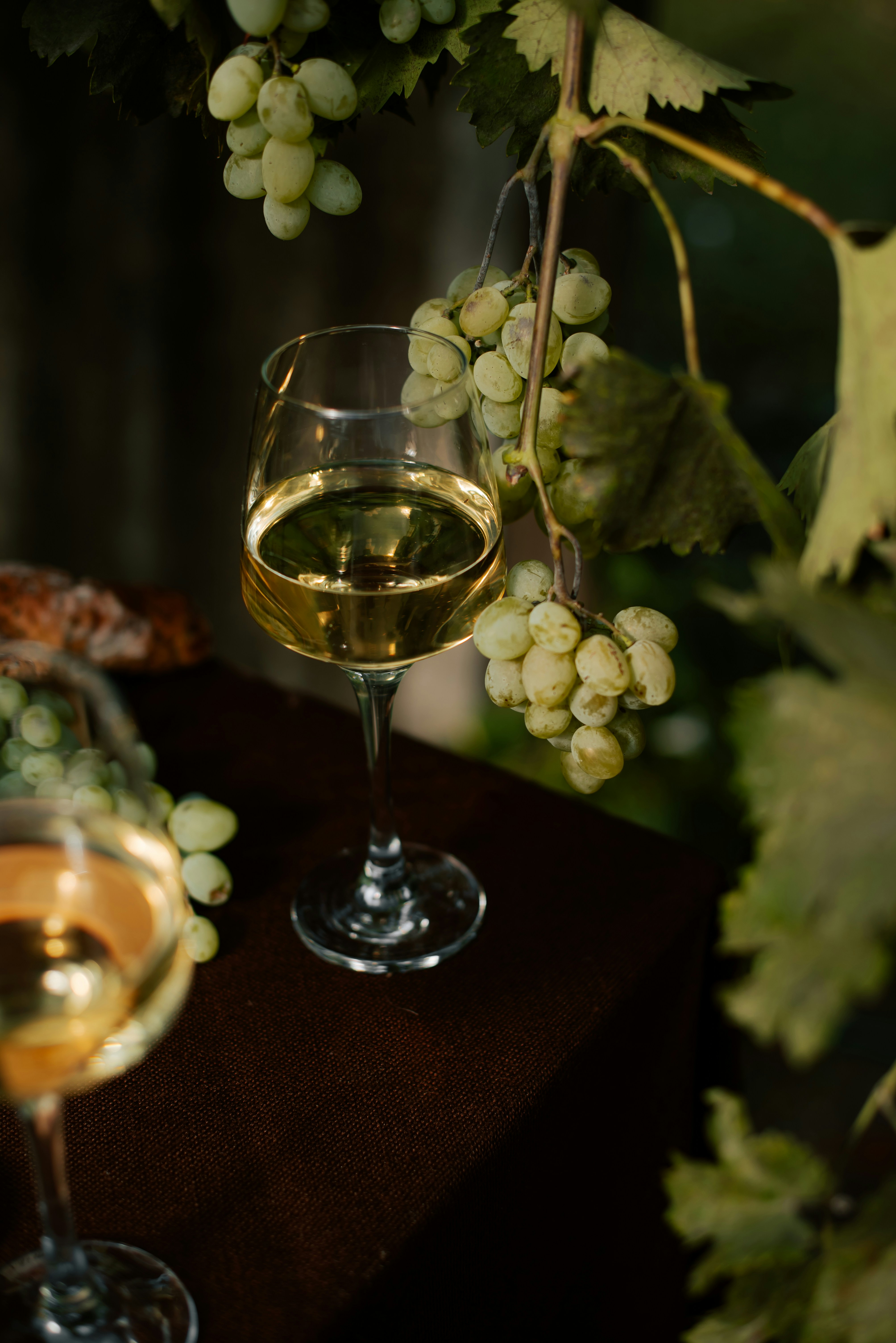 A glass of white wine sitting next to a bunch of grapes photo – Free ...