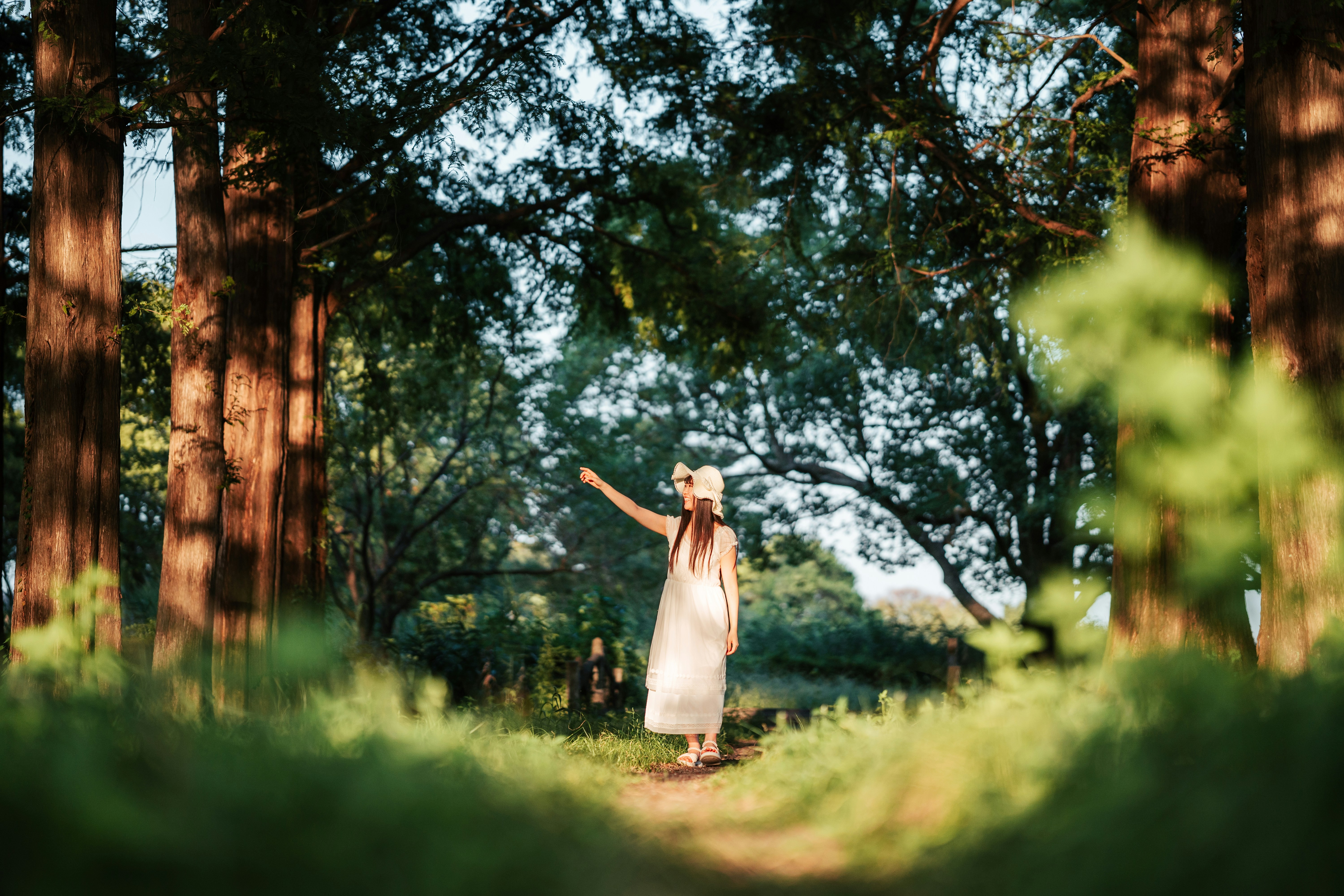 Une femme en robe blanche debout dans une forêt photo – Photo Saitama ...