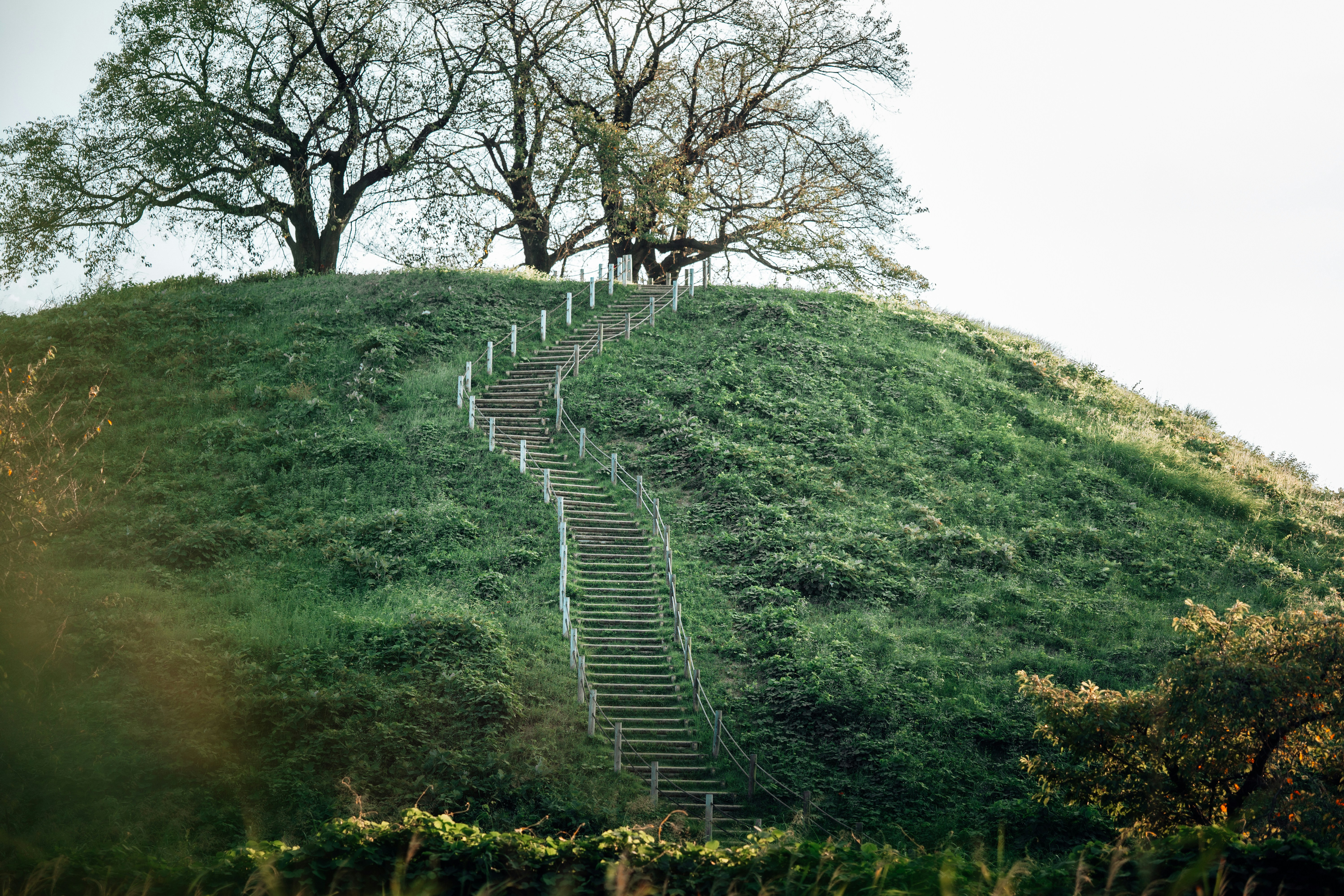 The Quiet Ascent: Zigzag Staircase to a Tree-Crowned Hill