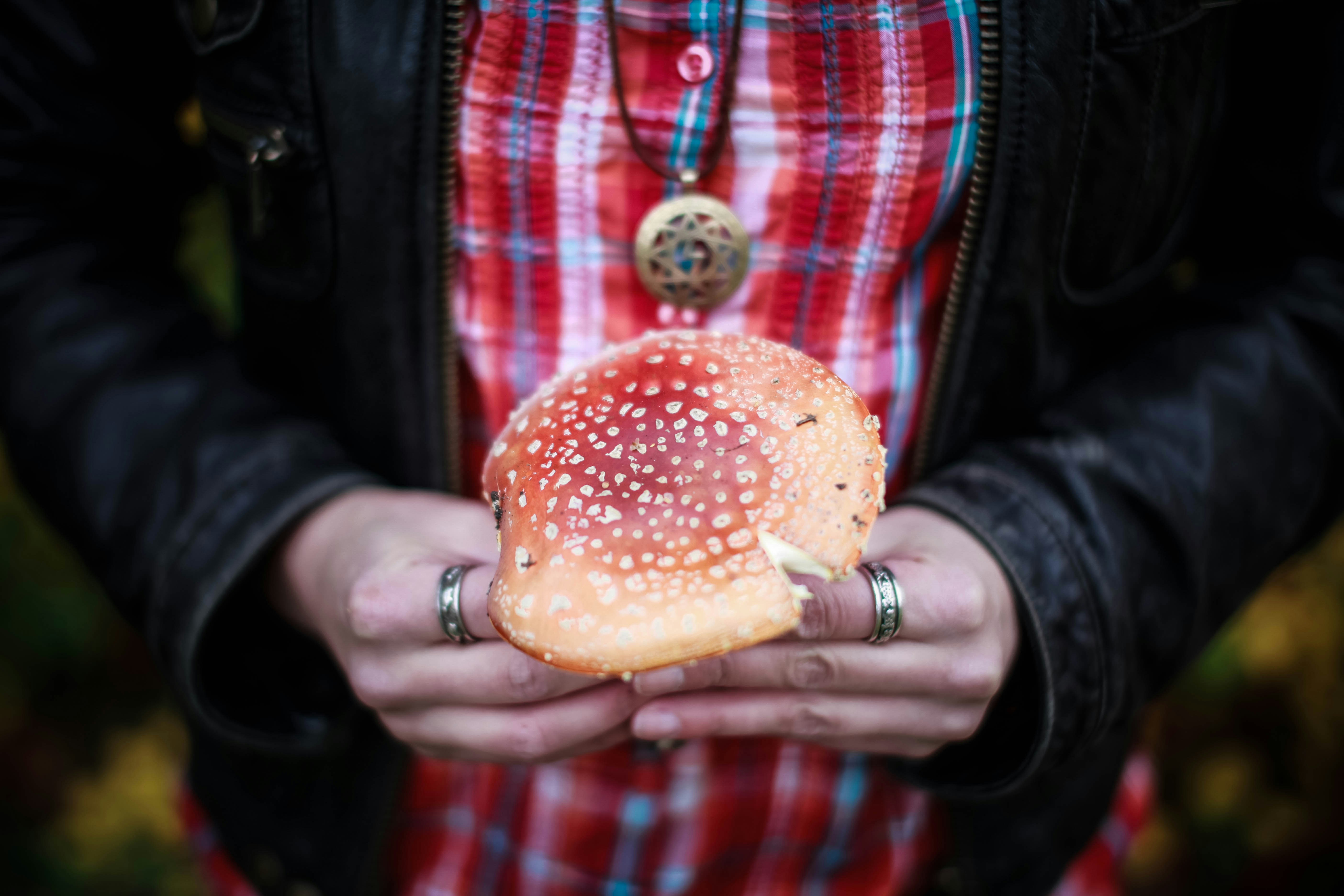 a person holding a piece of food in their hands