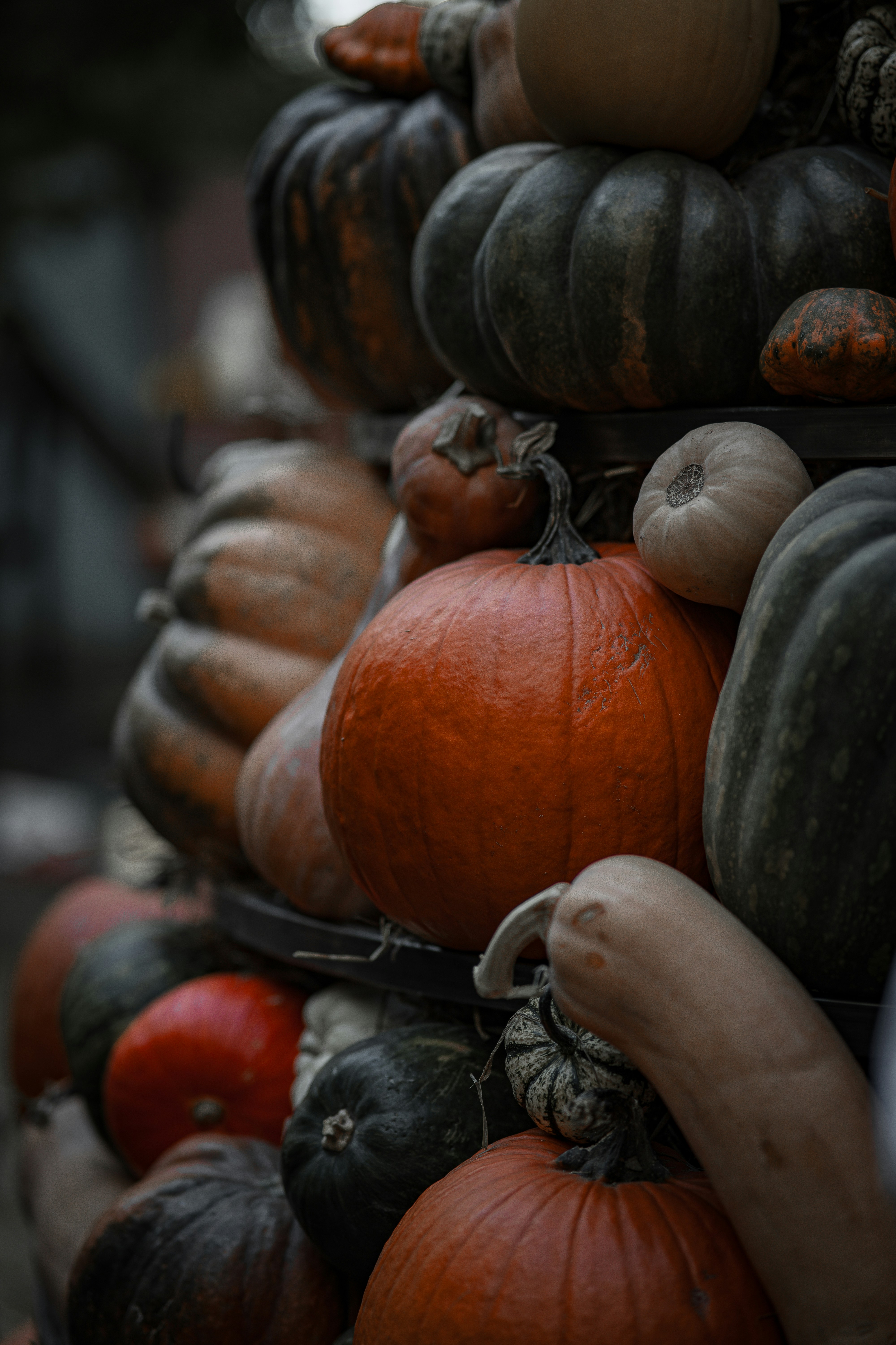 Autumn Mosaic: A Nest of Pumpkins on a Stacked Display