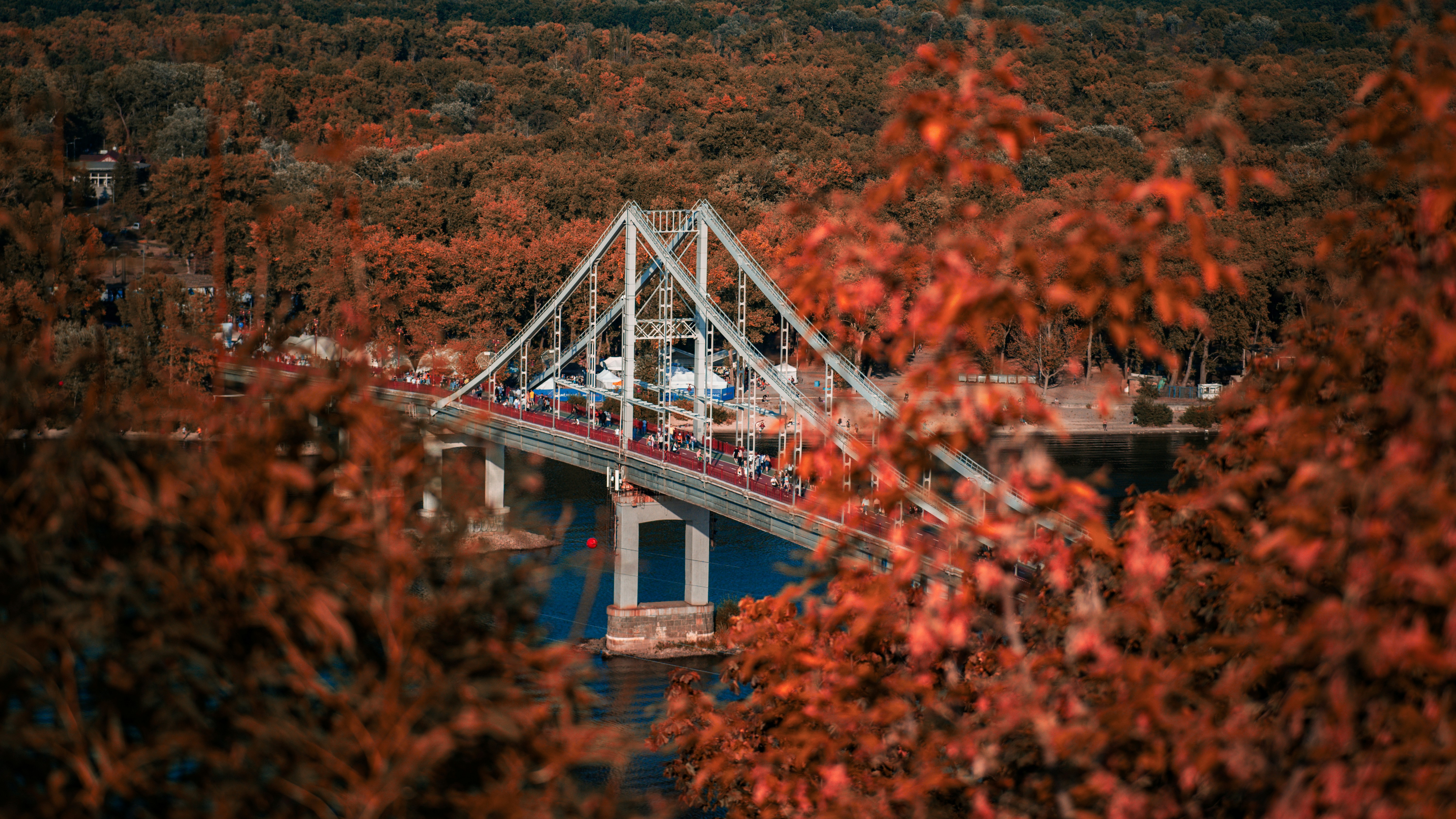 Crimson Frame: A White-Arched Bridge Surrounded by Autumn Fire