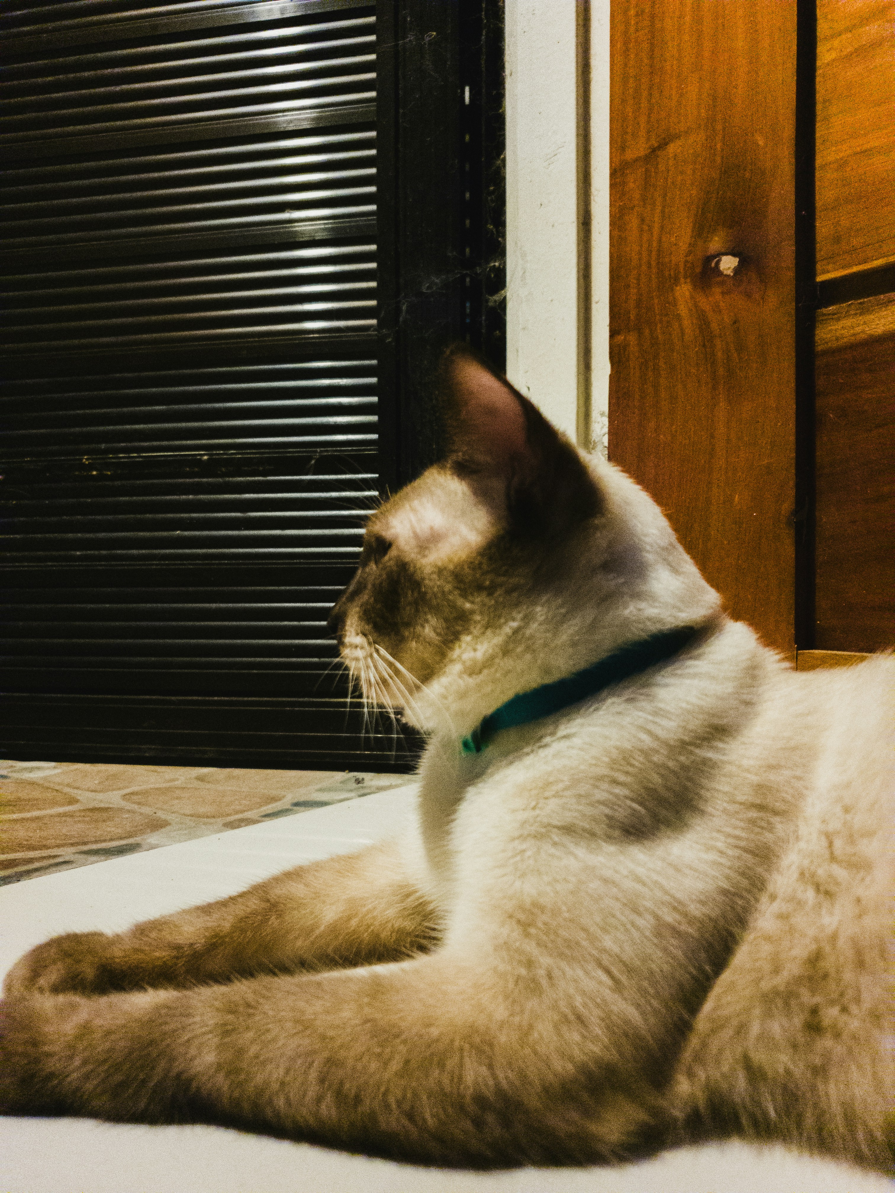 Sideways Slumber by Shutter and Timber