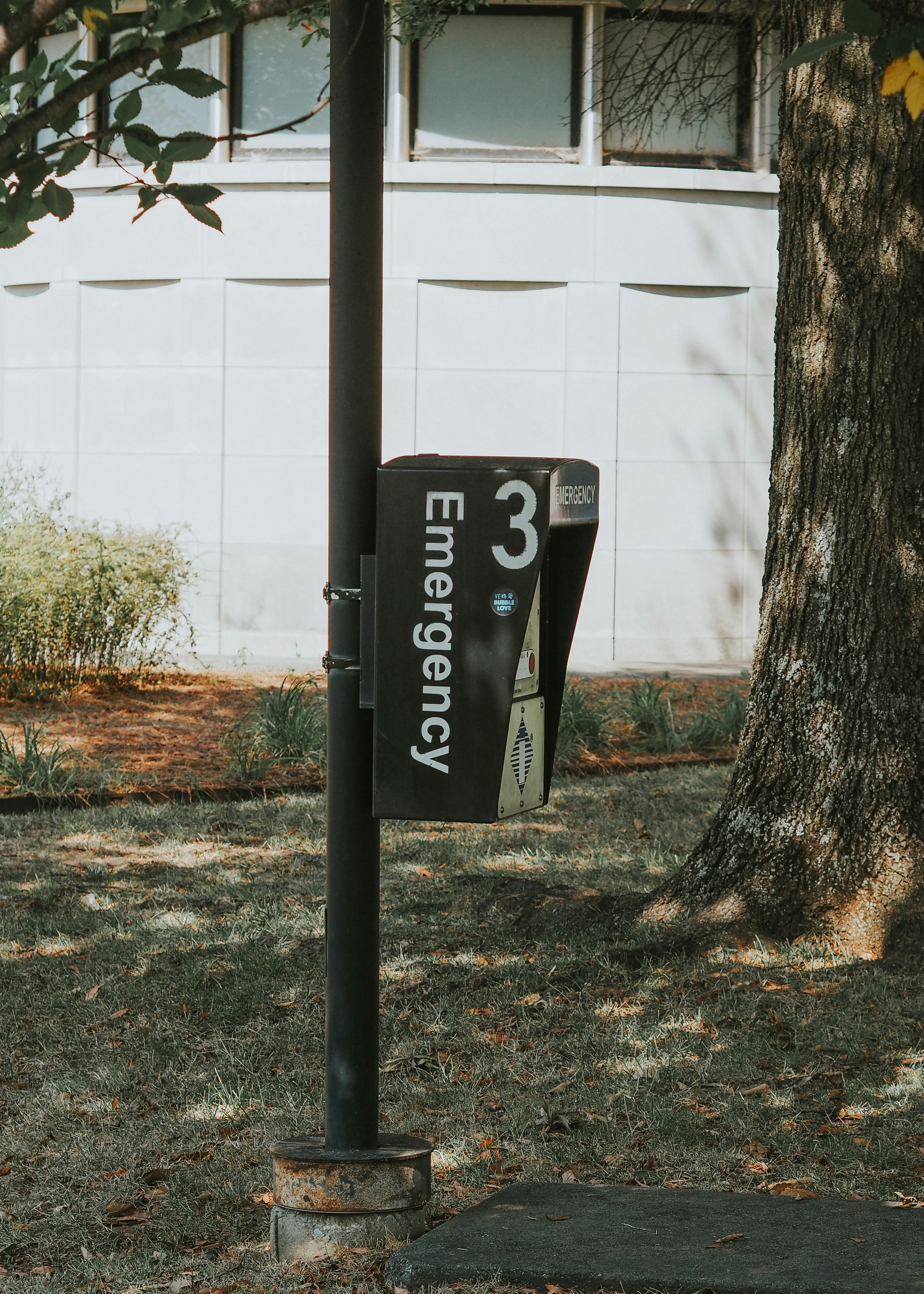 Emergency Stand: A Signal Post and a Quiet Street Scene