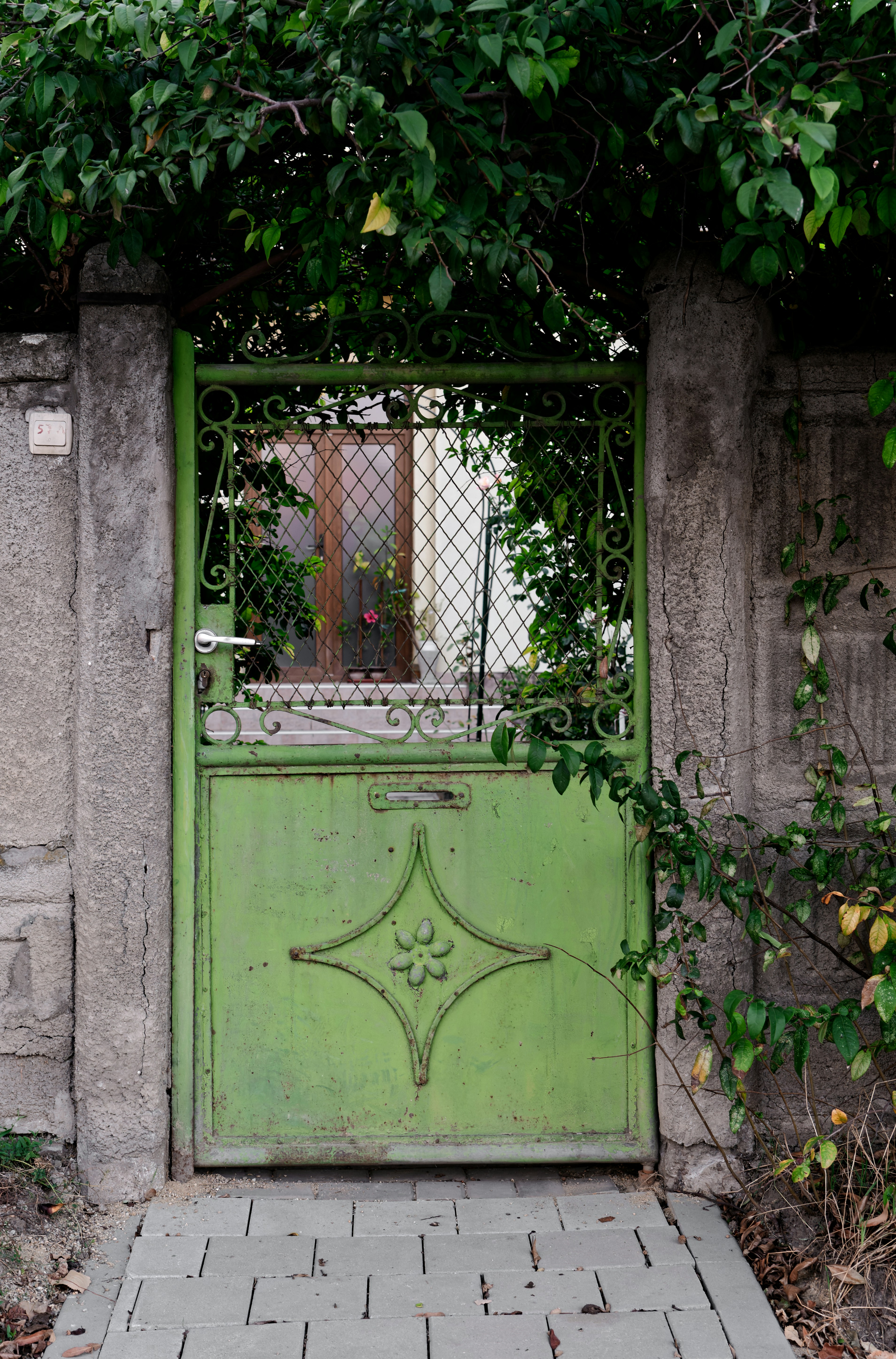 A green door covered with green plants.