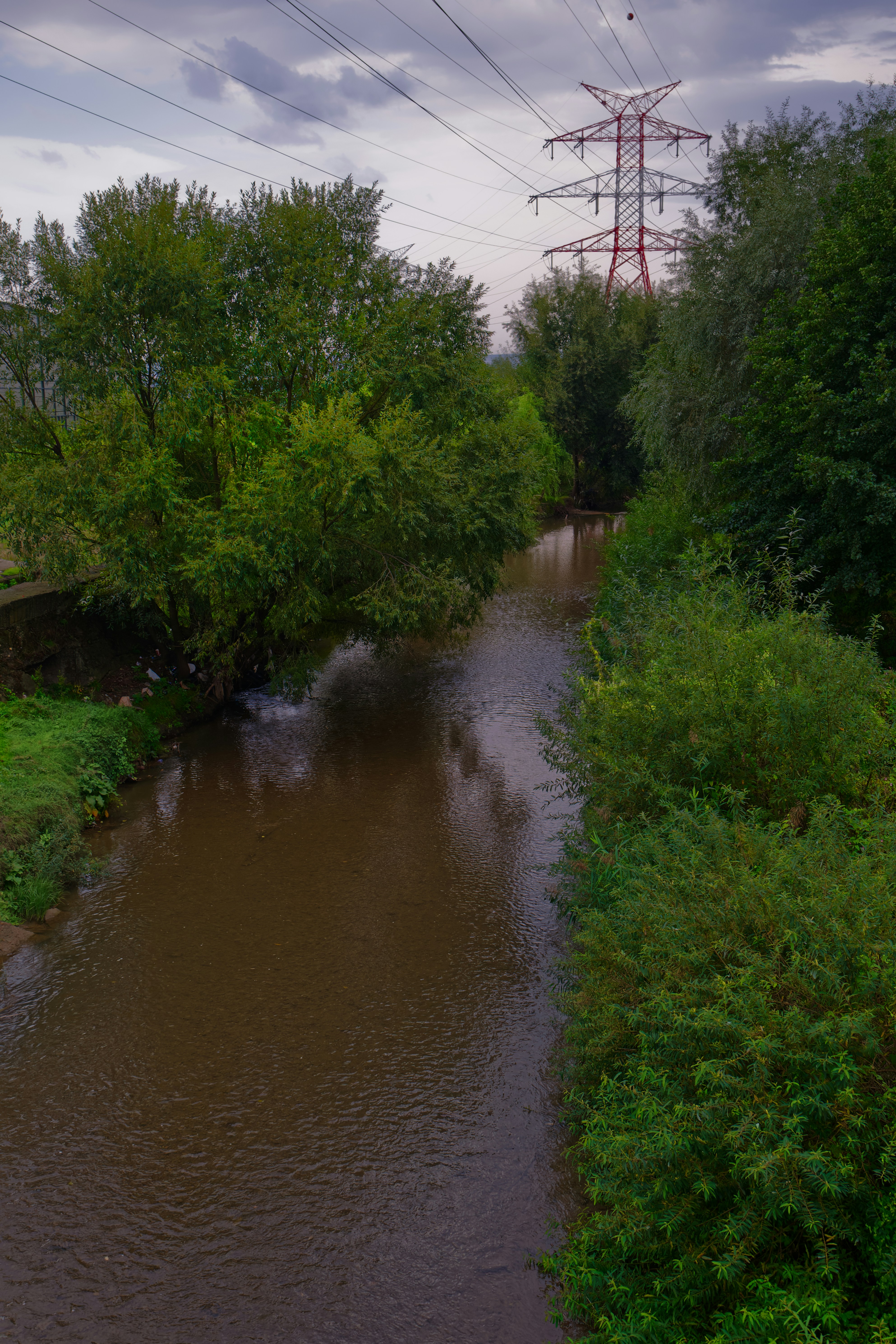 Liquid Corridor Between Verdant Walls and Transmission Lines