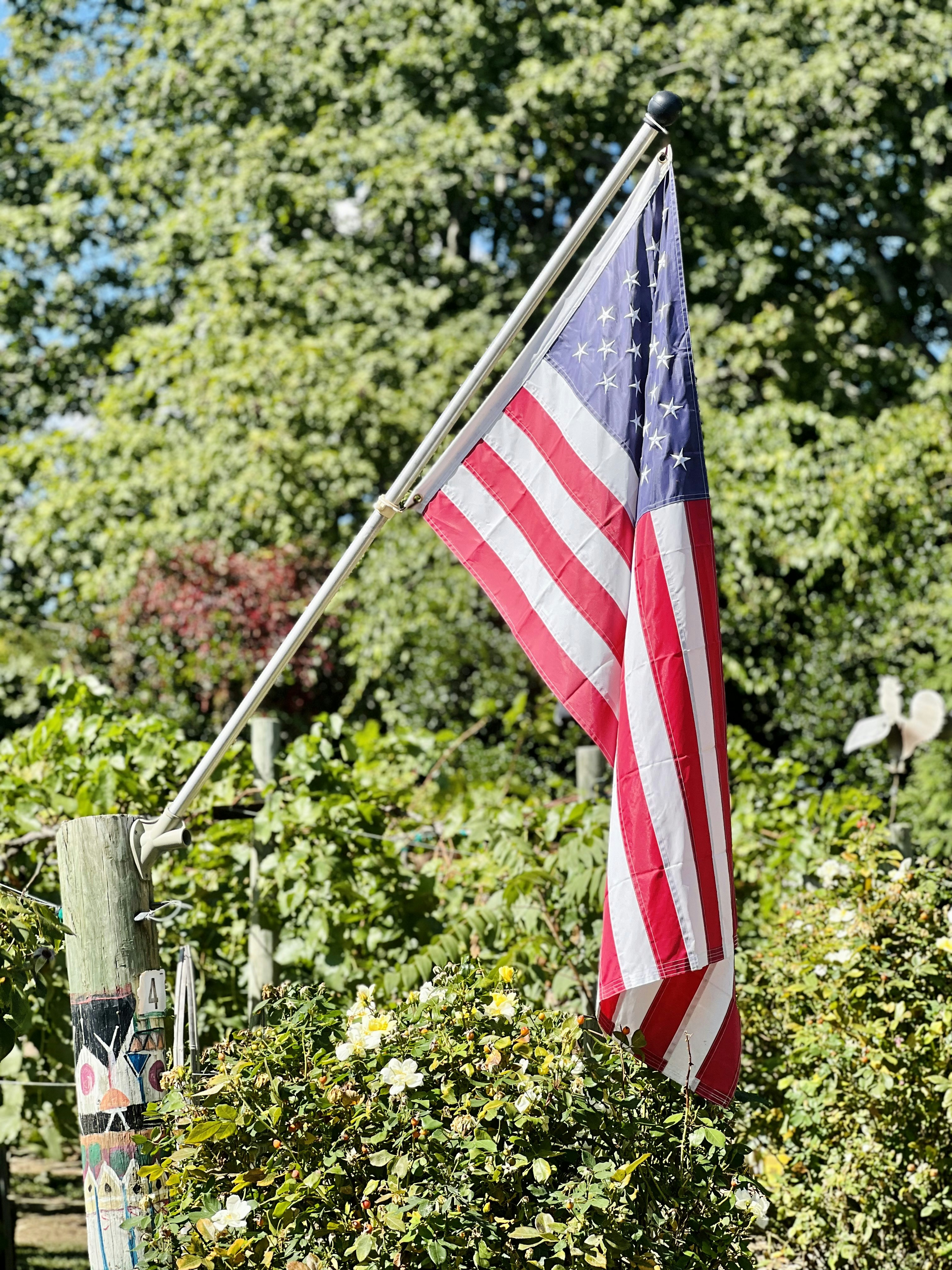 Photo by Stephanie Klepacki with Apple iPhone 13 Pro Max