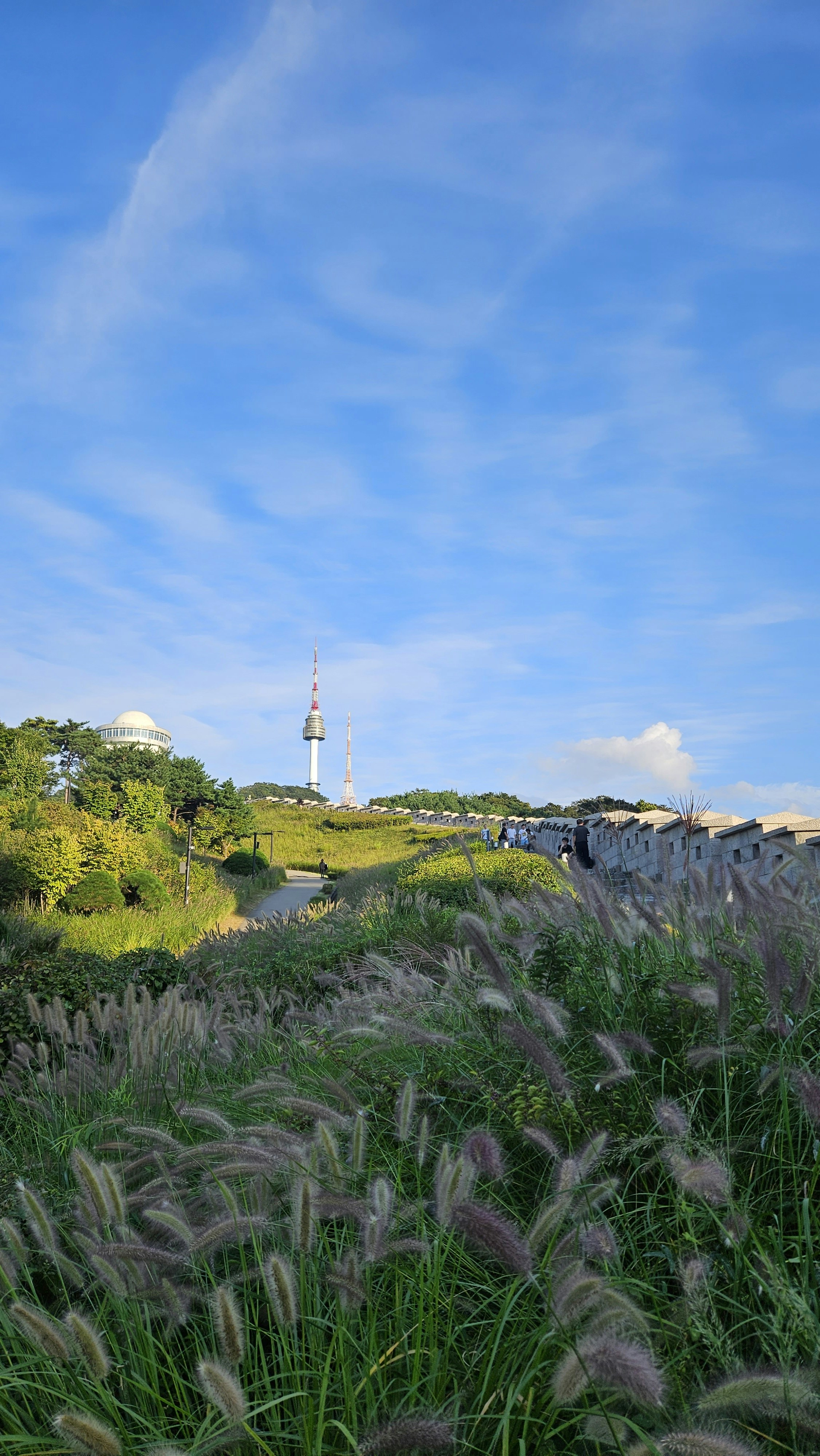 Daylight photograph of a hillside with tall grasses in the foreground and a distant skyline featuring a tall tower under a clear blue sky.