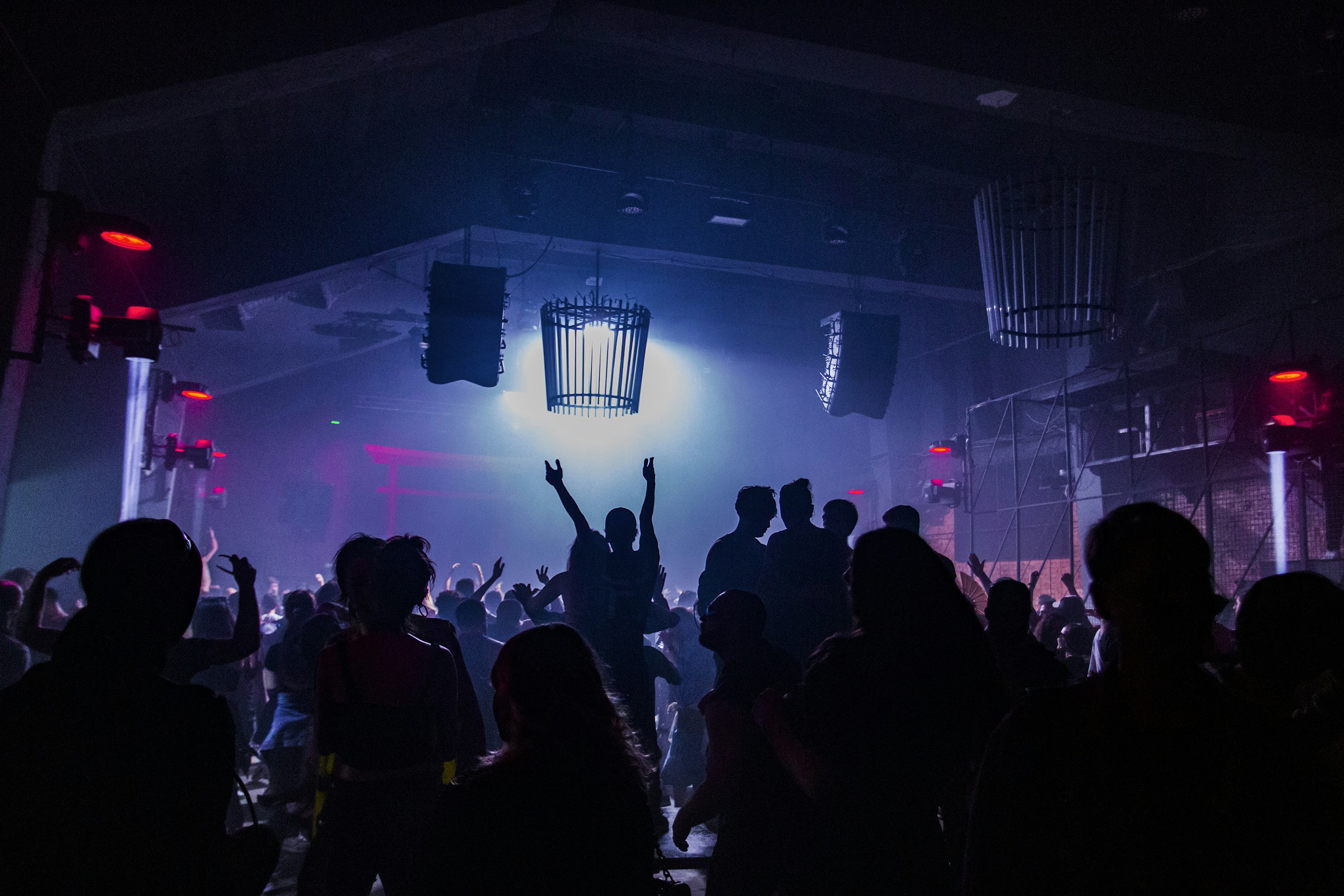 Rhythmic Euphoria in the Night