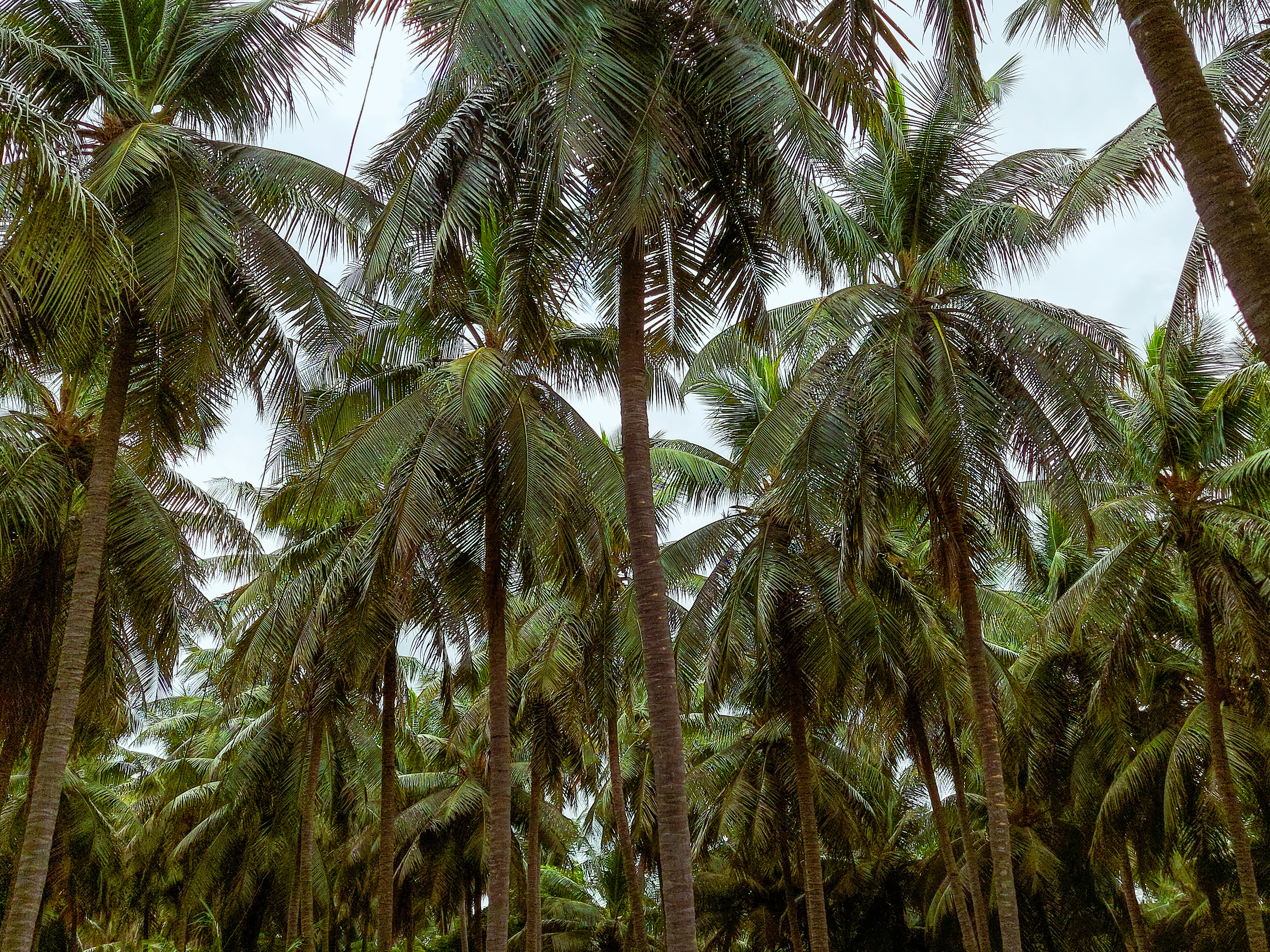 Photo by Anudeep with Samsung Galaxy M51