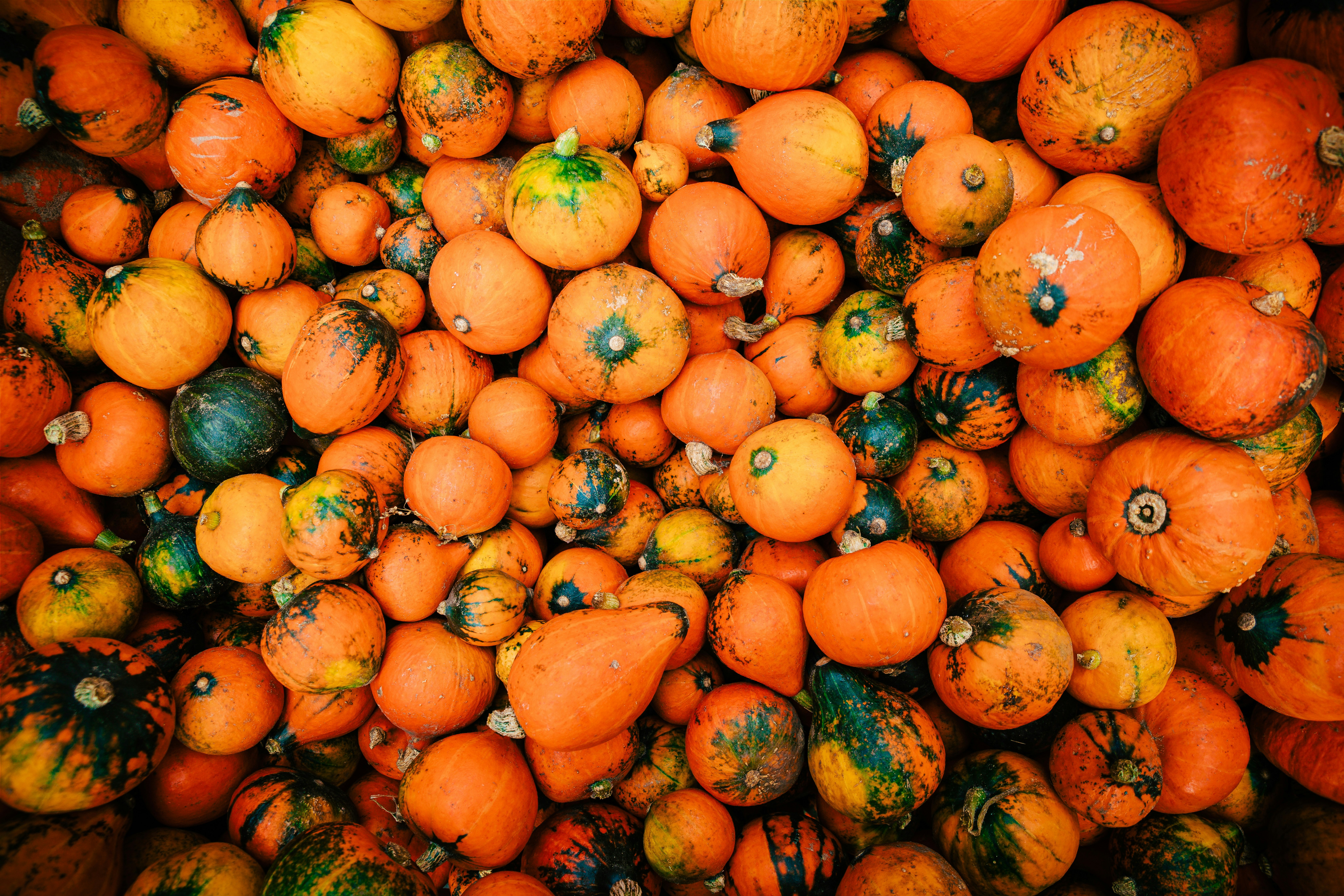 Un grand tas d’oranges et d’autres fruits photo – Photo Berlin Gratuite ...