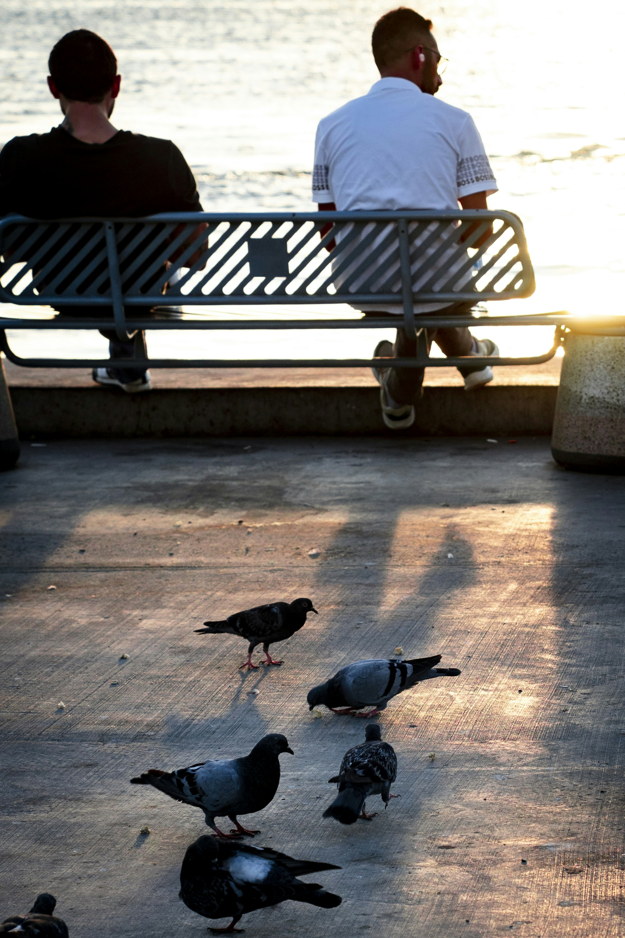 Sunset Promenade: Pigeons, Bench, and the Quiet Sea
