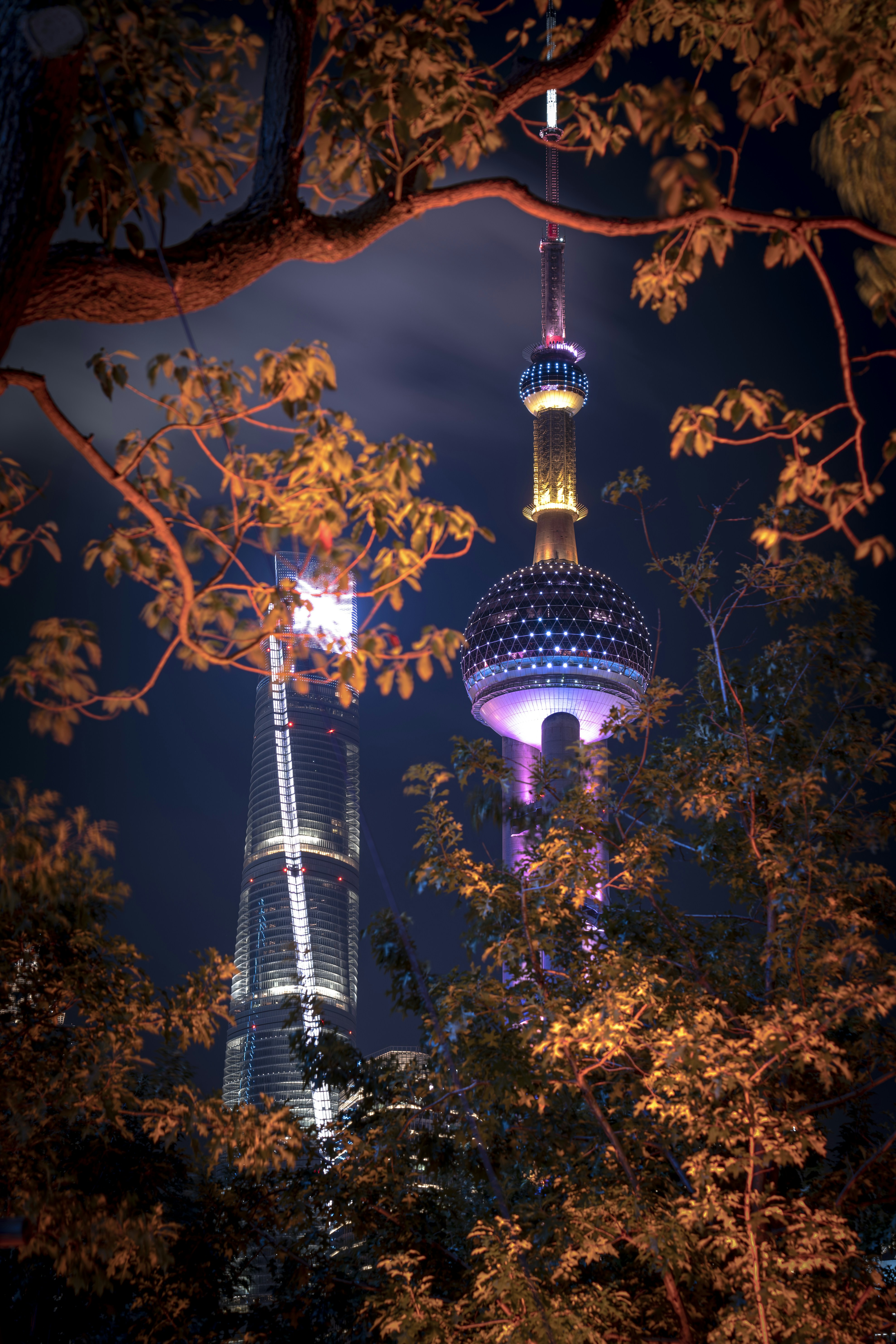 Glow Above the Canopy: The Pearl Tower Through Autumn Fronds