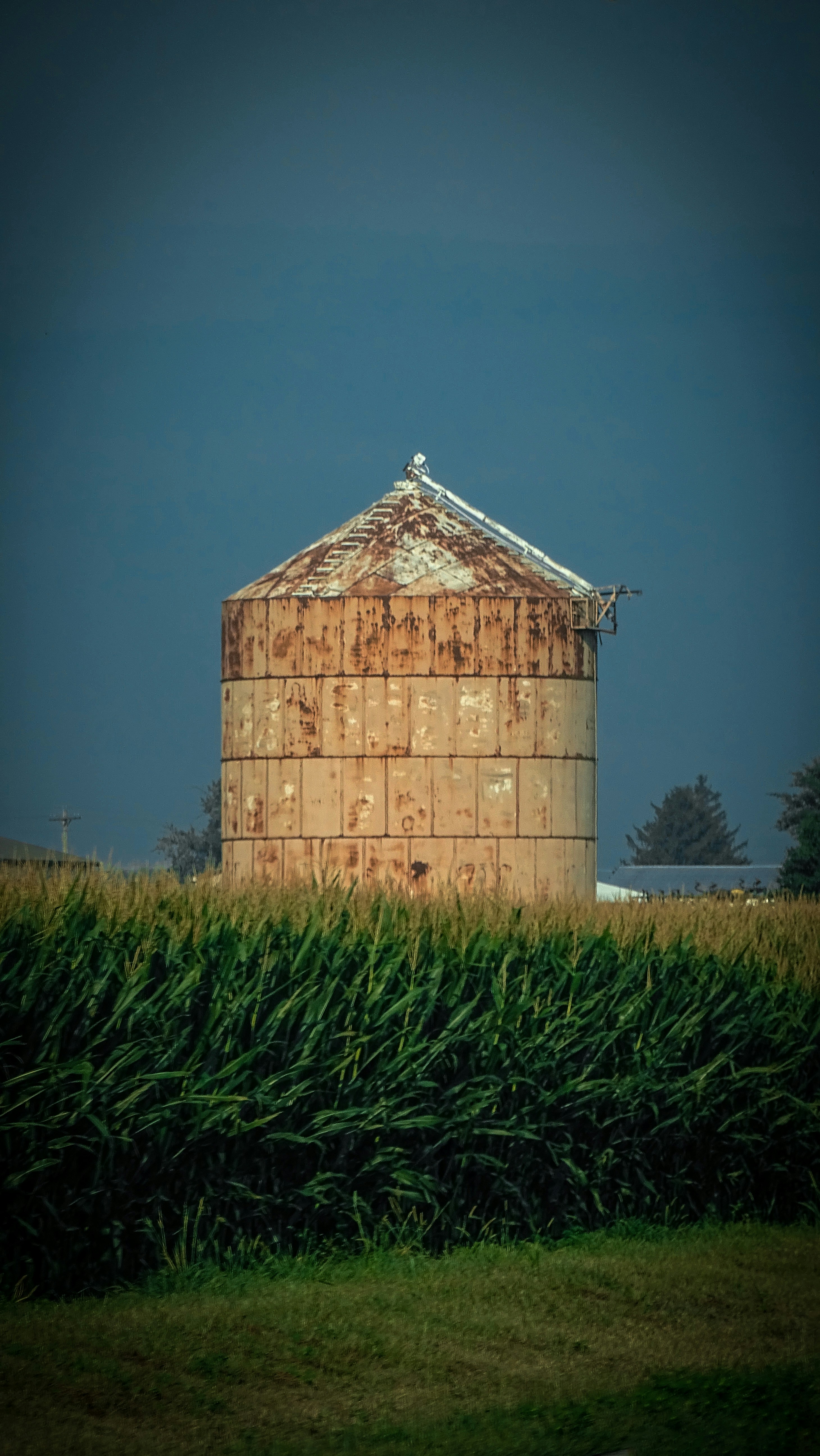 A grain silo in a field of tall grass photo – Free Building Image on ...