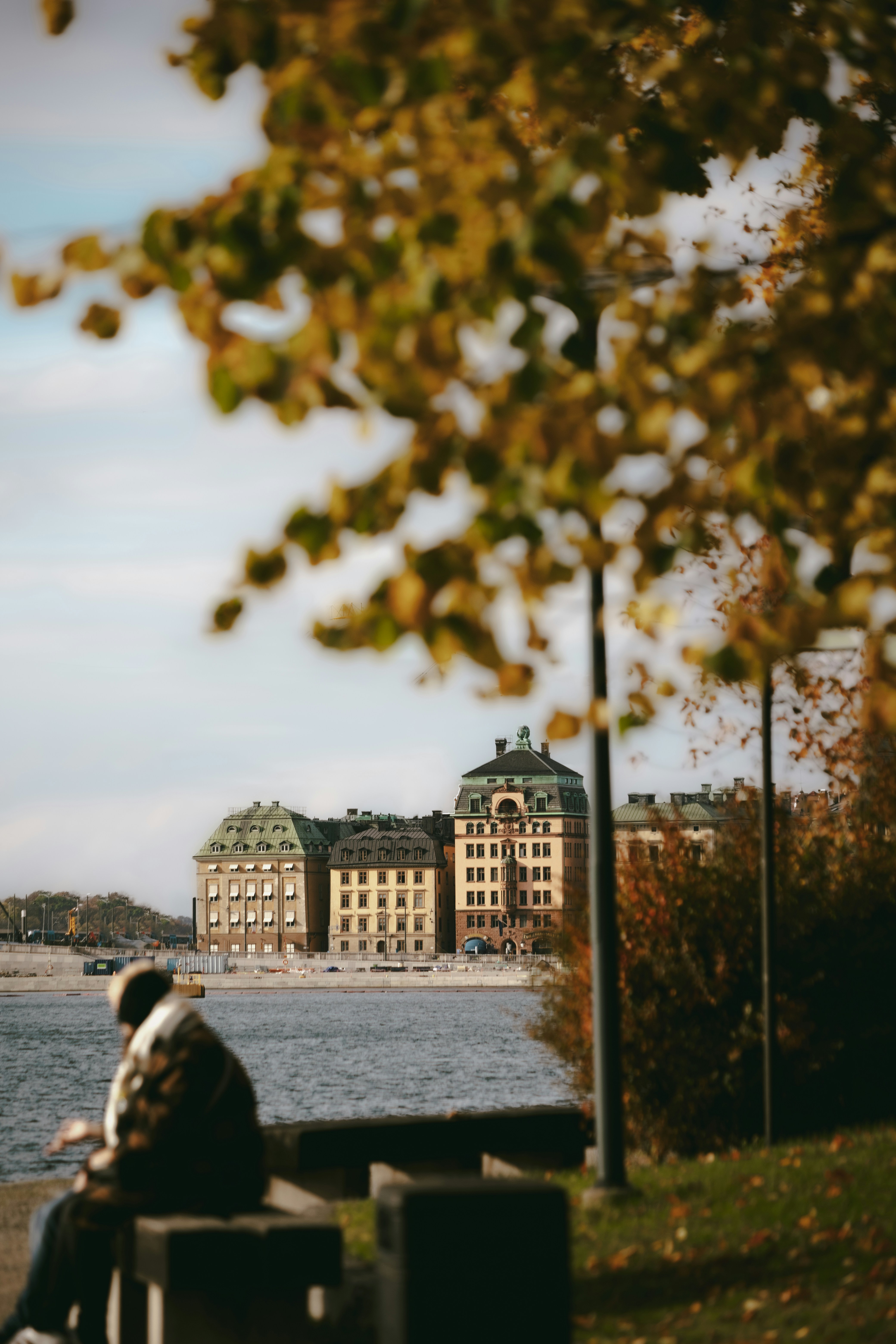 Autumn Riverfront: Facades Across the Water Framed by Quiet Foliage