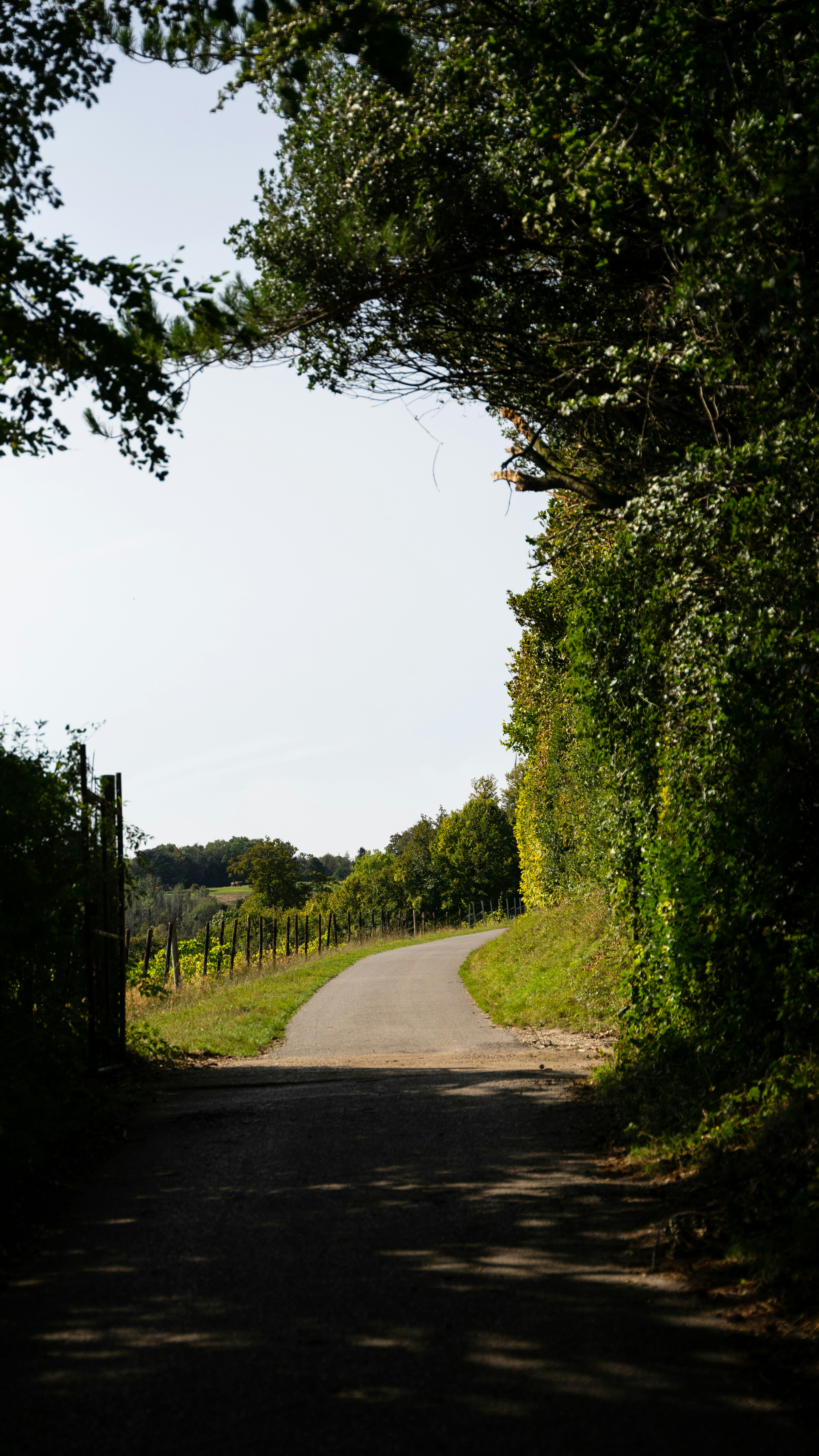 Photo by Salvador Landeo Choy with Sony Alpha 7 II