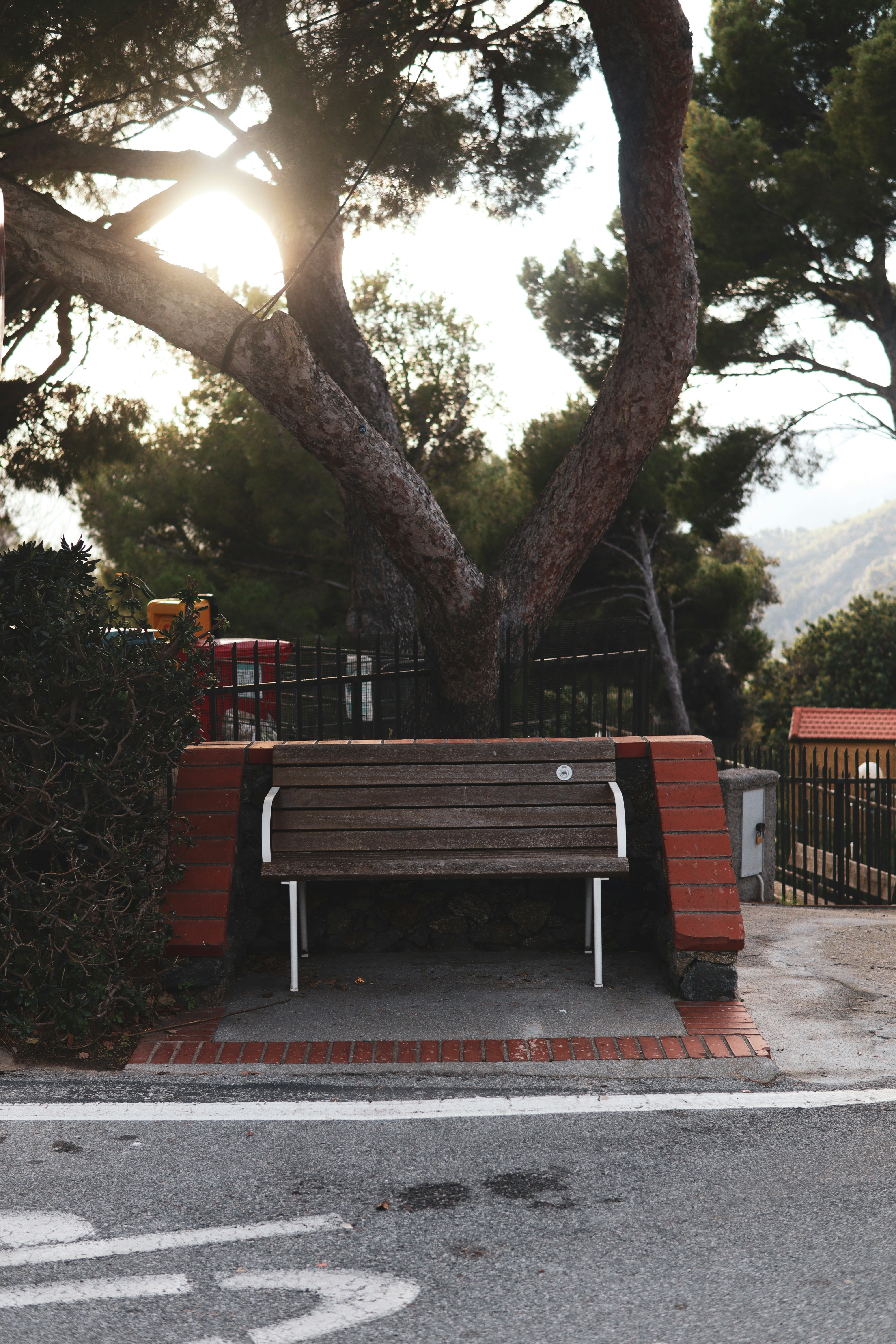 Photo by Massimiliano Beiza with Canon EOS M50