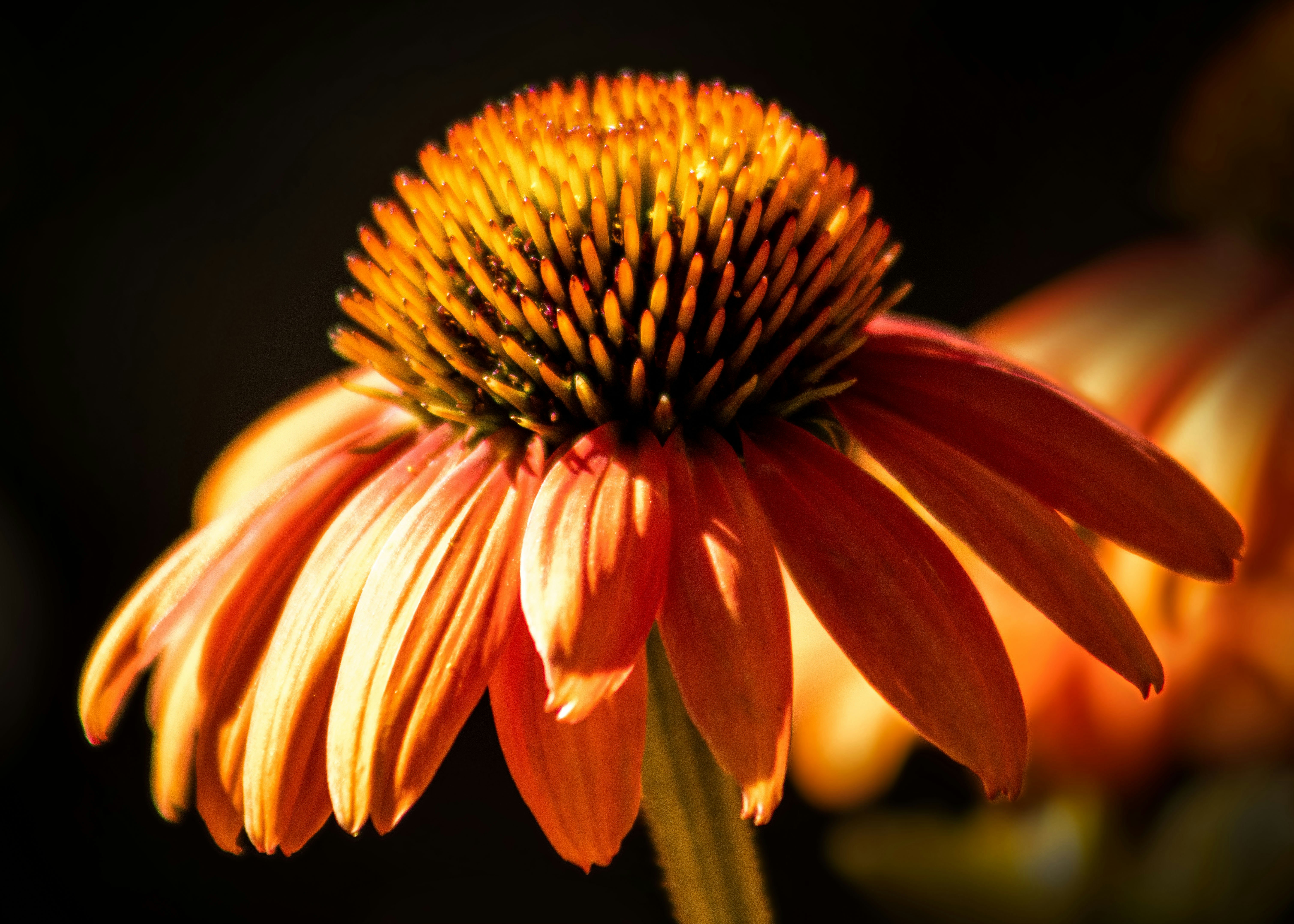 Jenn Bible (@jennbible) | Communauté photos Unsplash