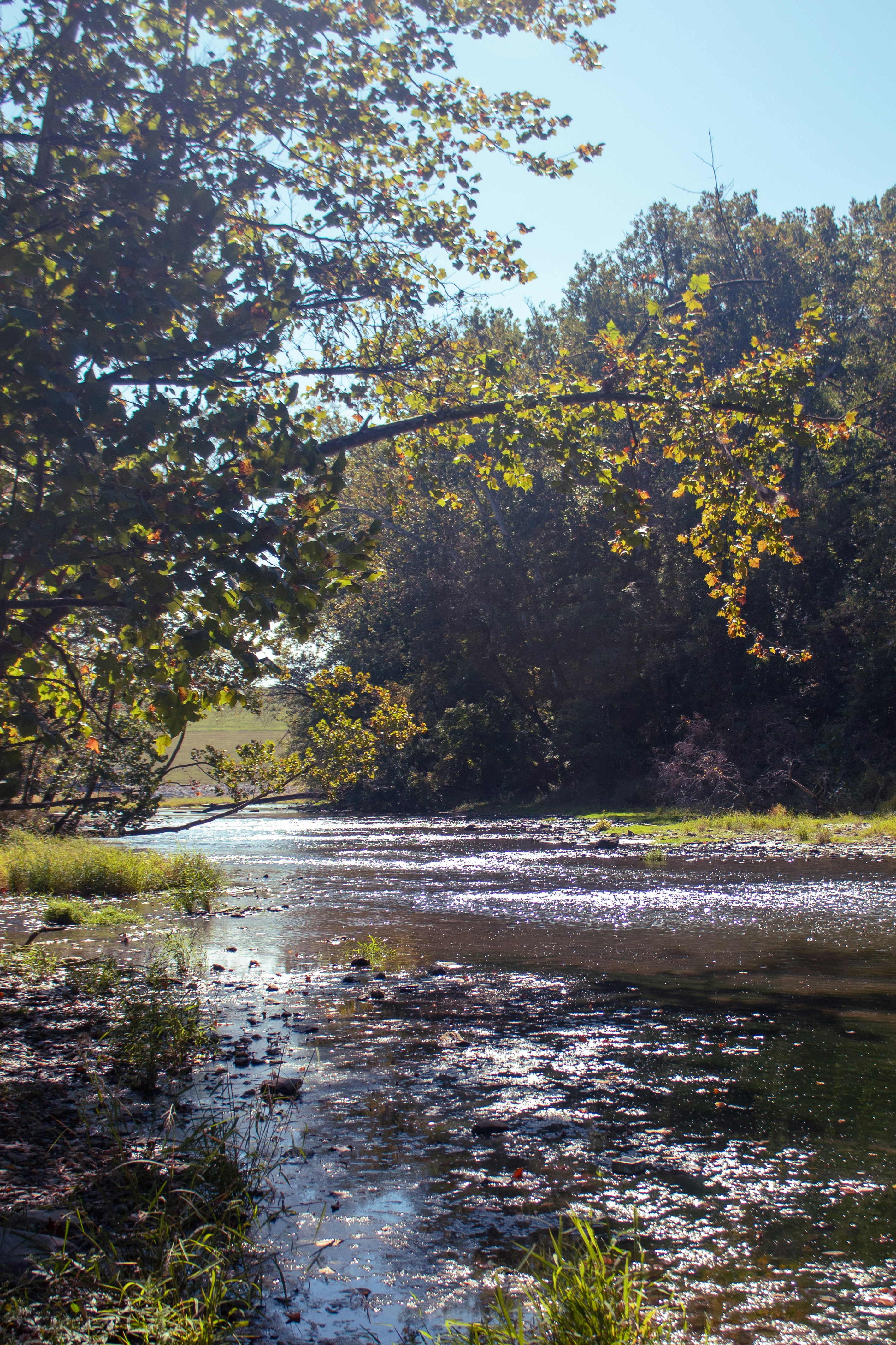 Gryffin Alejandro (@galejandro) | Comunidade de fotos da Unsplash