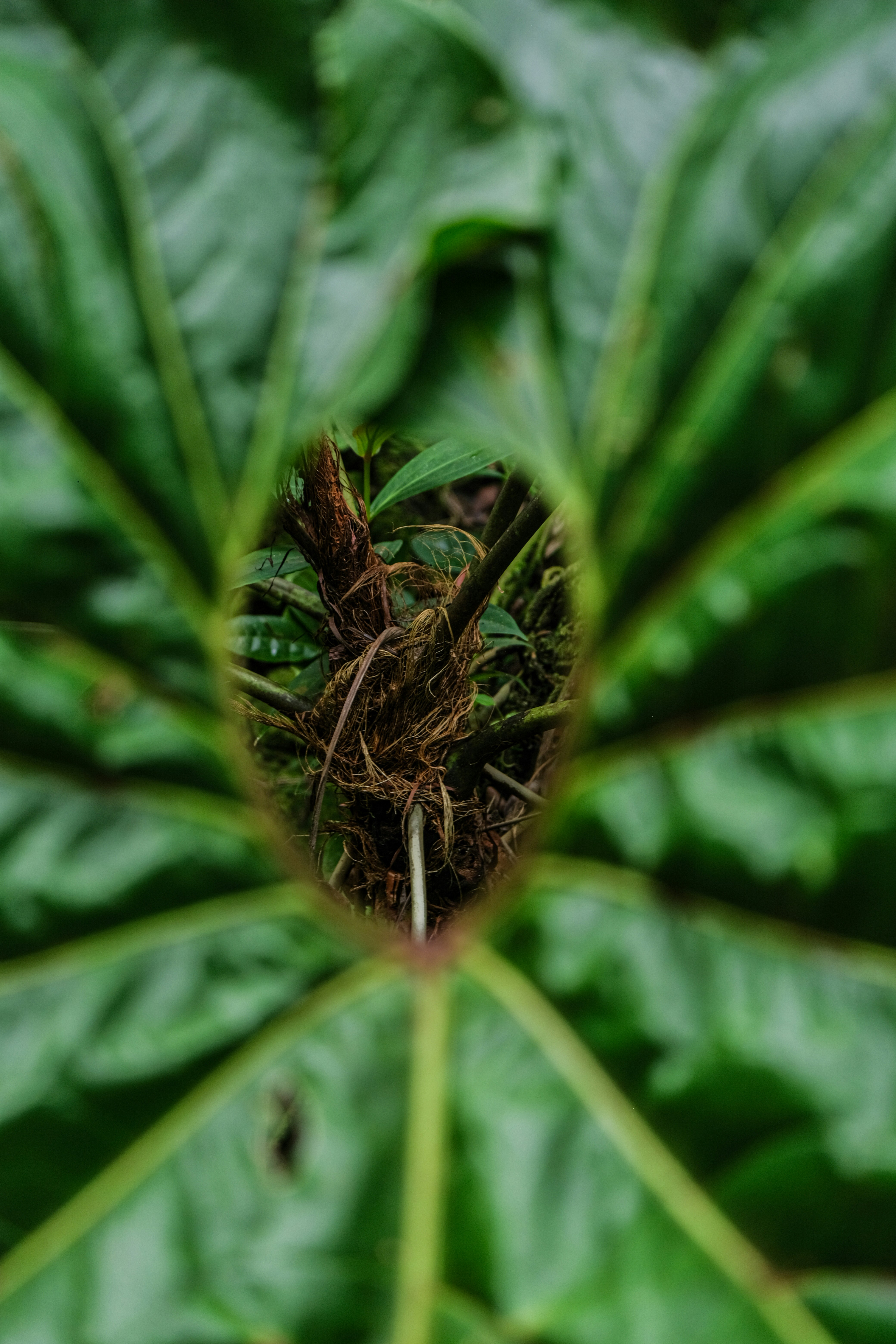 Photo by Sarah Sheedy with Fujifilm X-T3