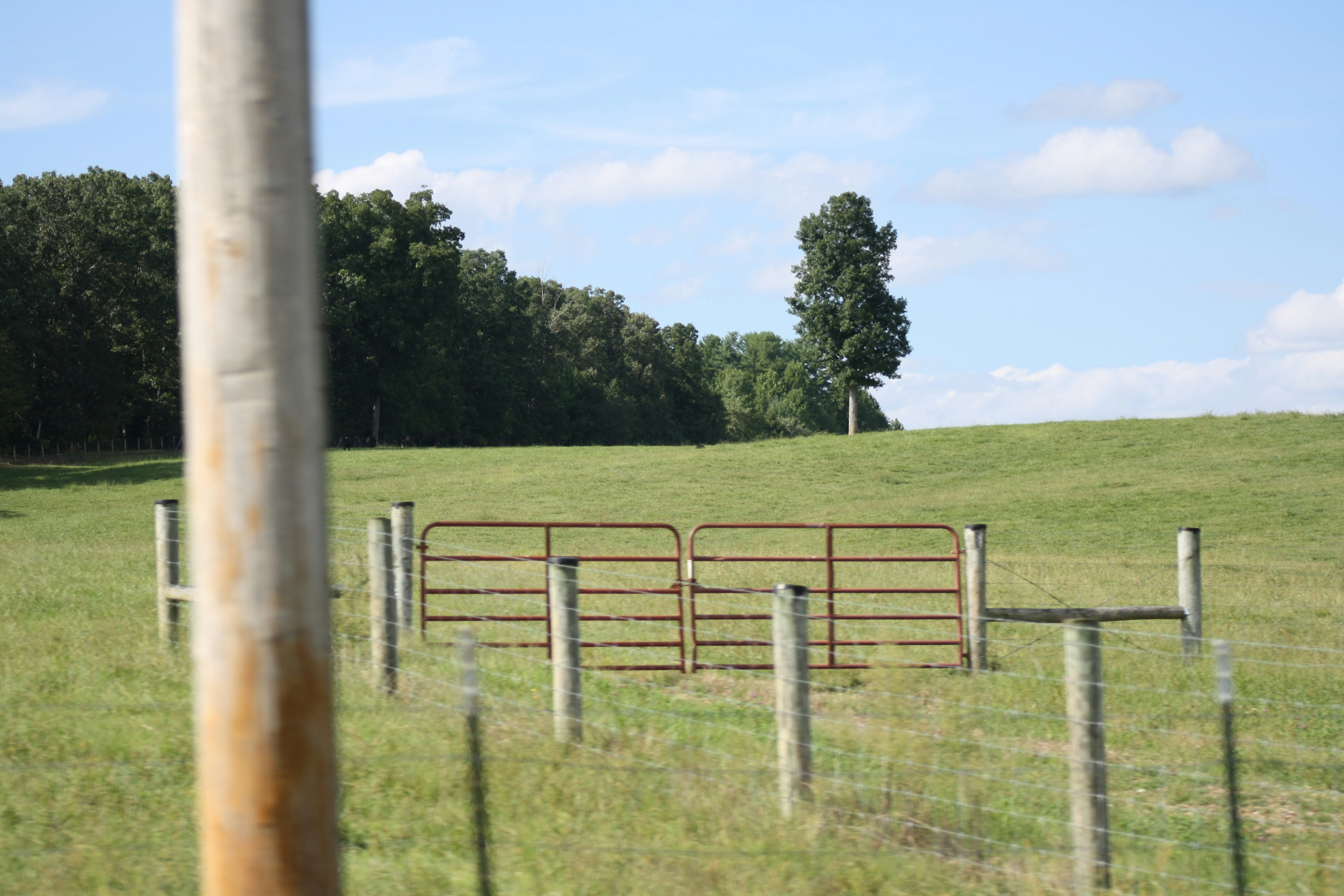 A fenced in field with a horse in the distance photo – Free Country ...