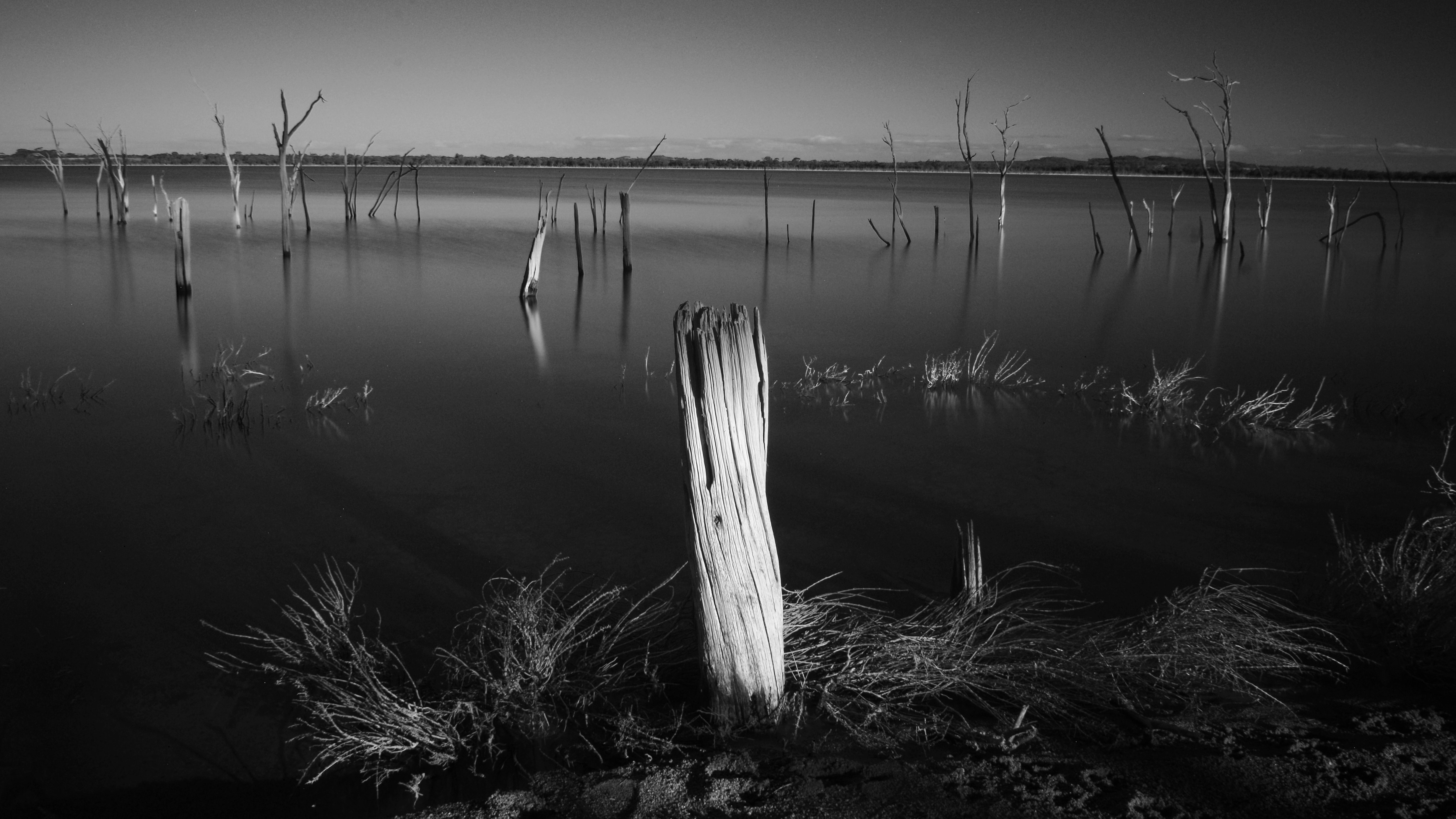 A black and white photo of a body of water photo – Free Norring lake ...