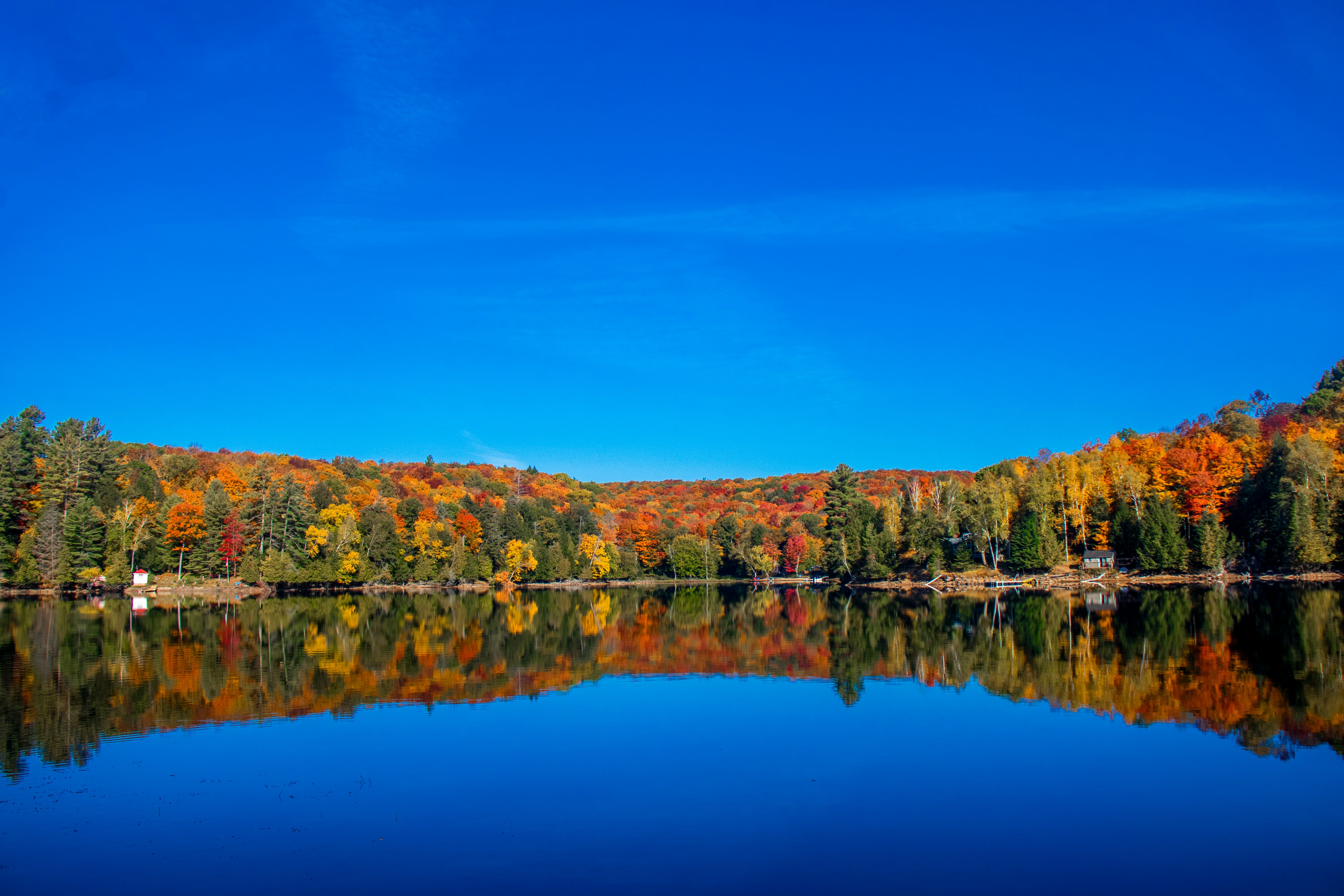 A body of water surrounded by trees in the fall photo – Free Haliburton Image on Unsplash