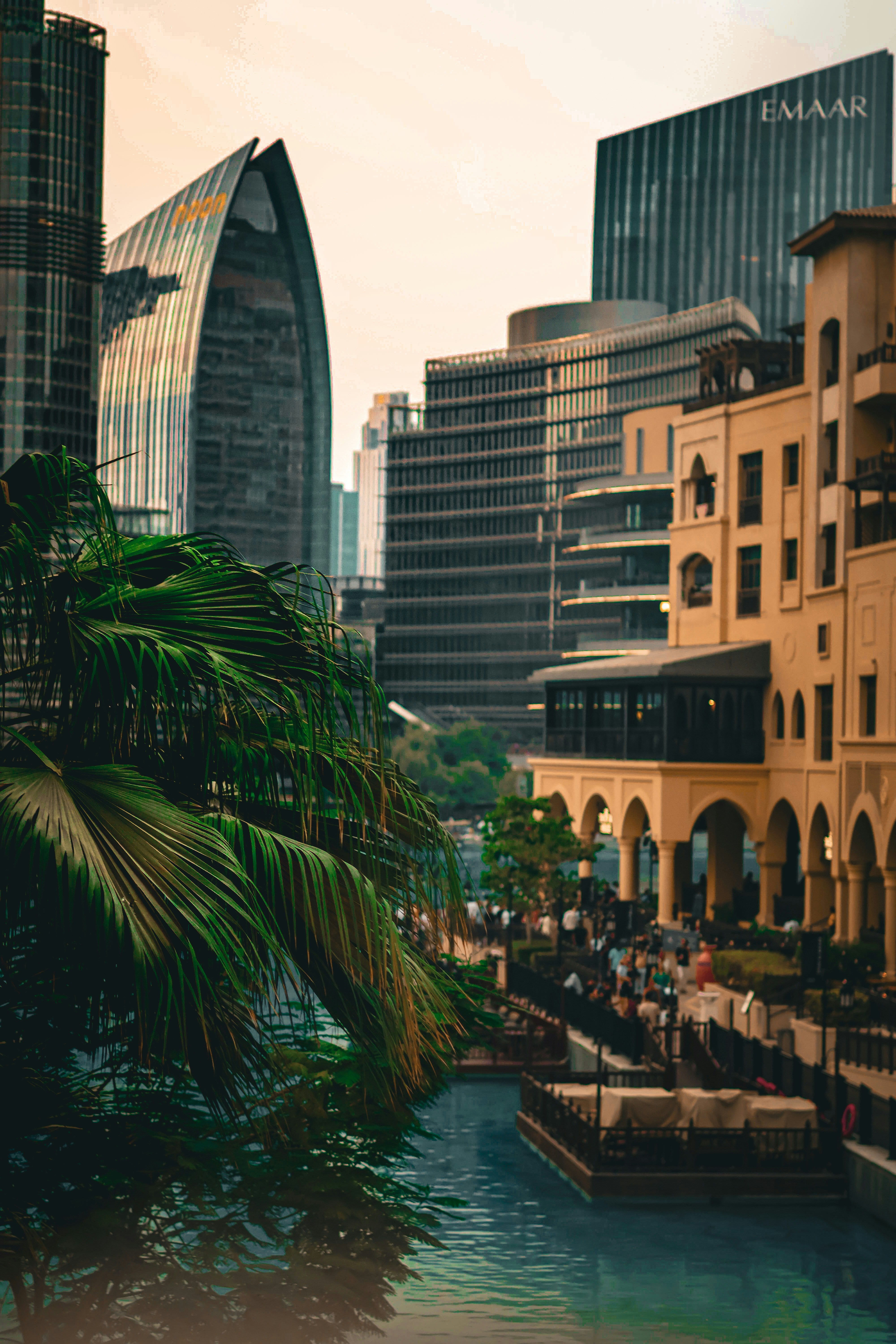 Palm-Fringed Canal Courtyard Beneath a Glassy City Skyline