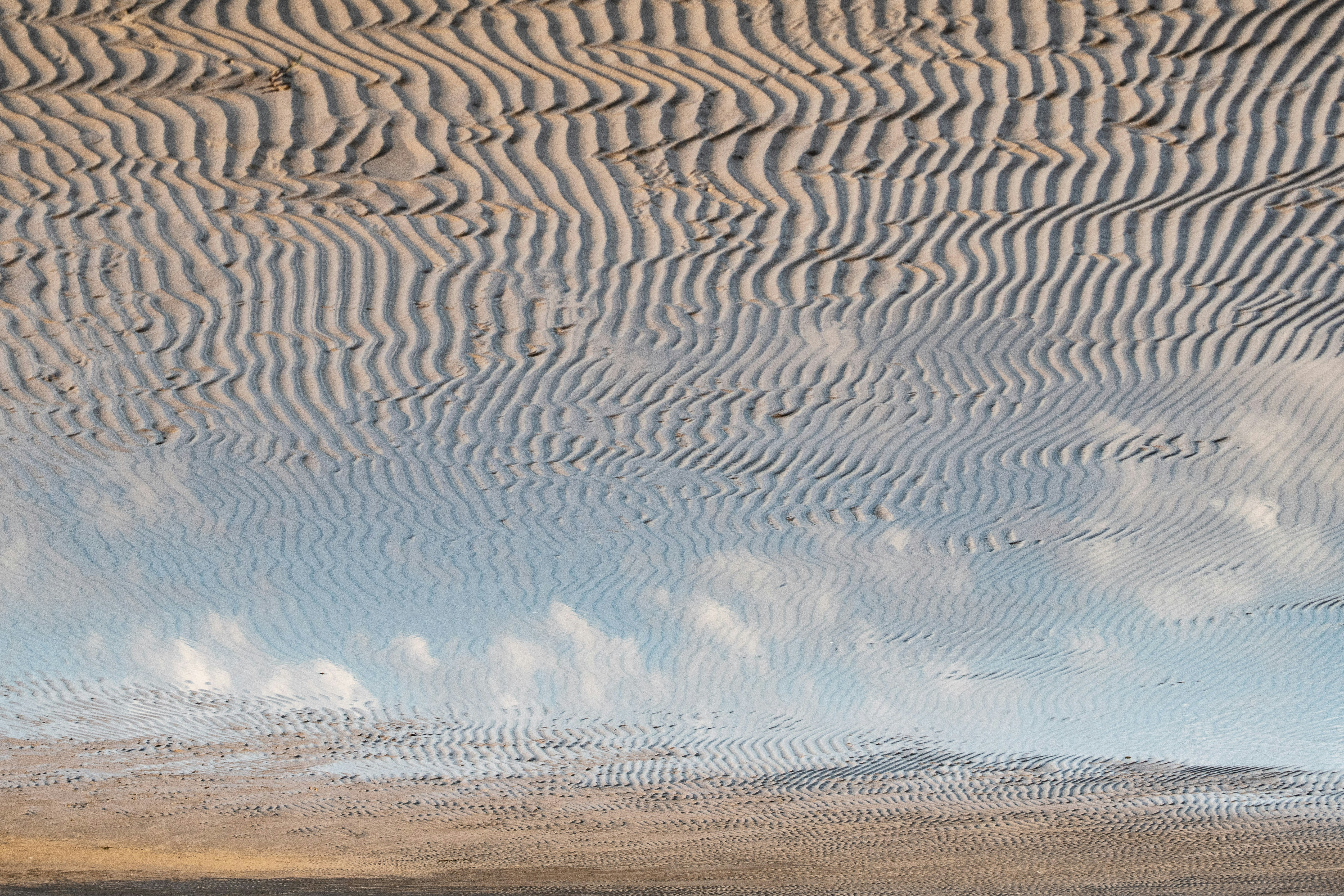 Whispering Sands: Nature's Abstract Canvas